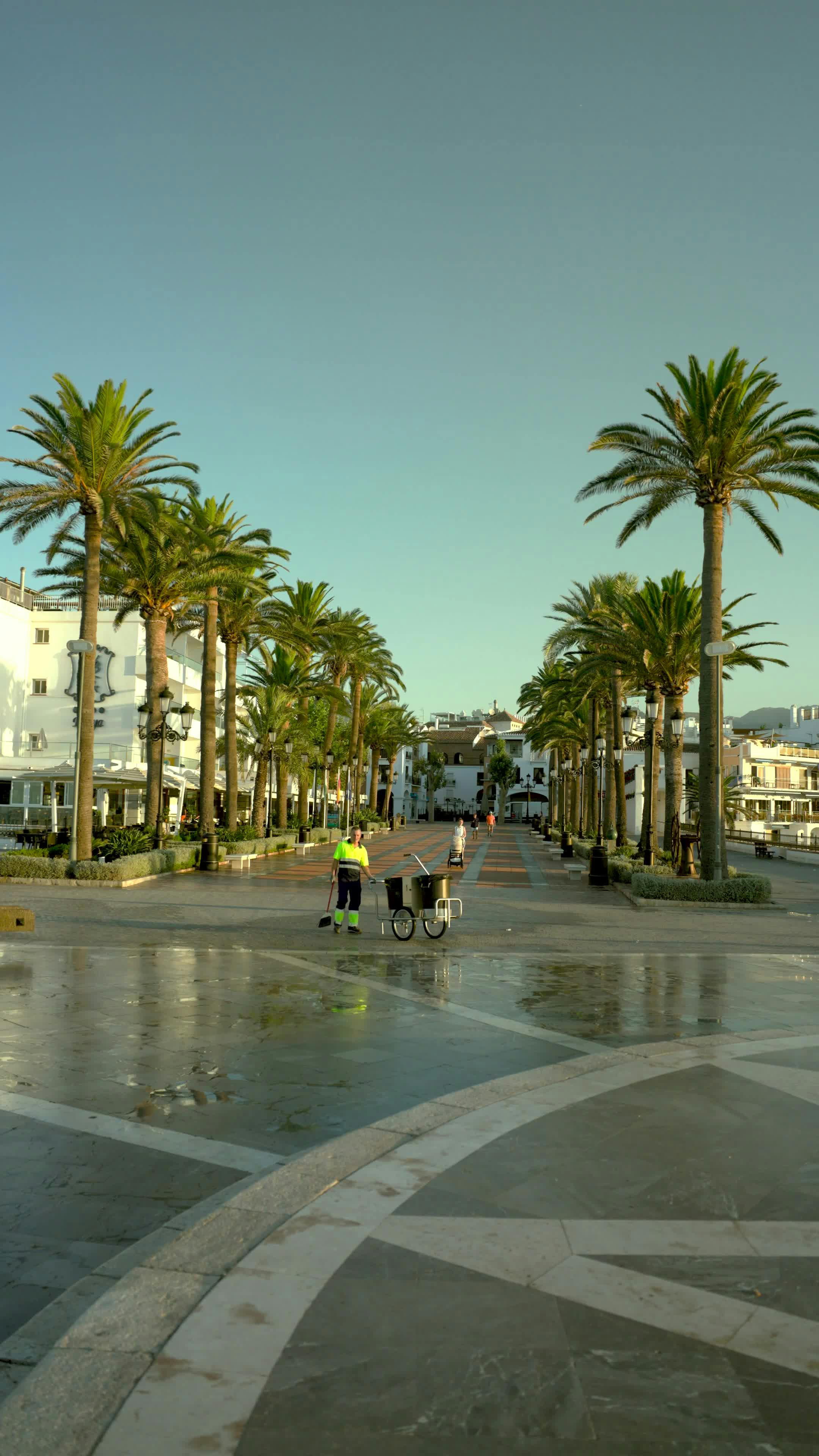 Coco Trees Videos, Download The BEST Free 4k Stock Video Footage & Coco Trees HD Video Clips