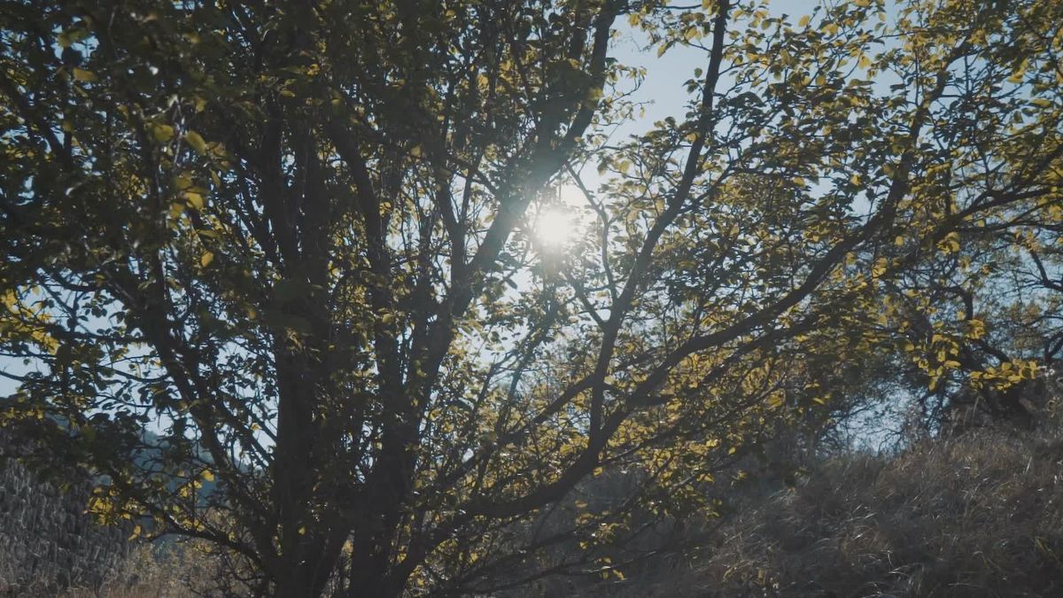 September Videos, Download The BEST Free 4k Stock Video Footage ...