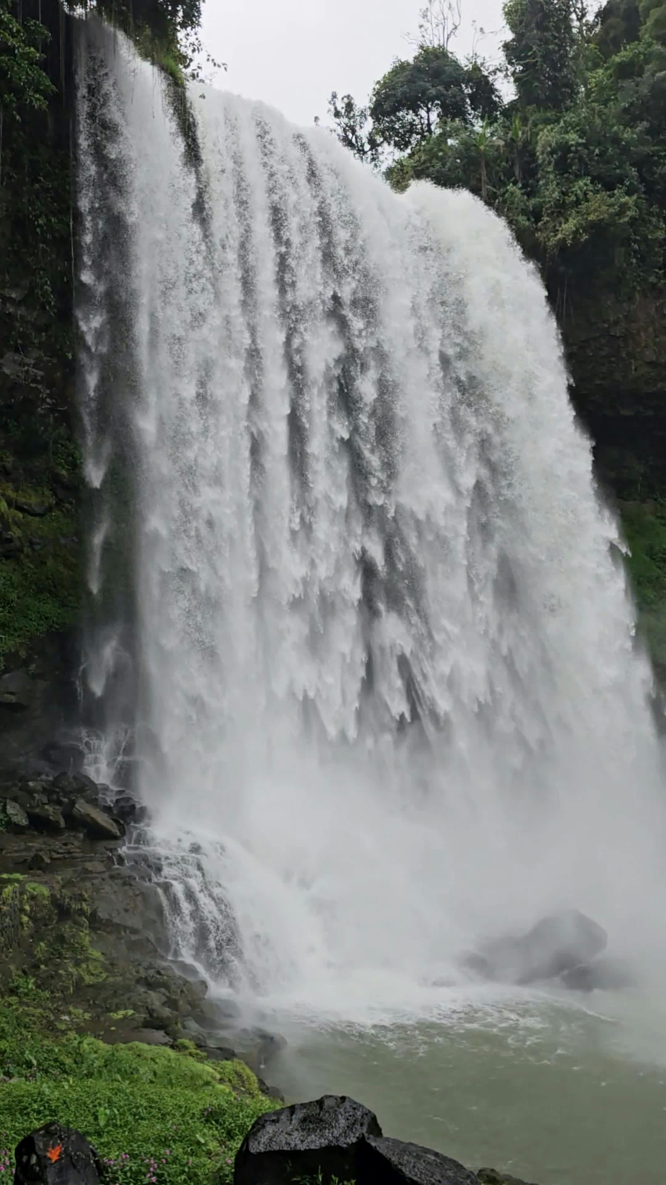 Motion Backgrounds Videos, Download The BEST Free 4k Stock Video ...