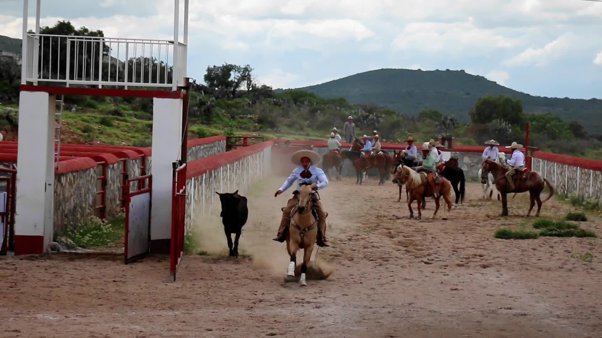 Cowboy Chase Videos, Download The BEST Free 4k Stock Video Footage ...