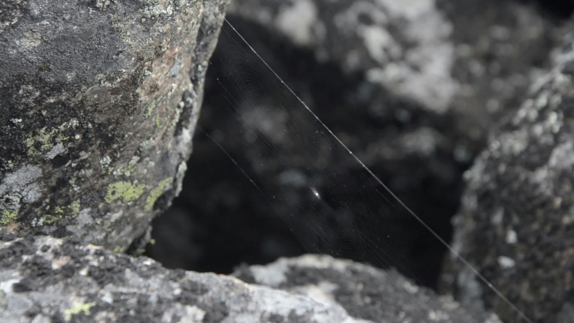 Crack Videos, Download The BEST Free 4k Stock Video Footage & Crack HD ...