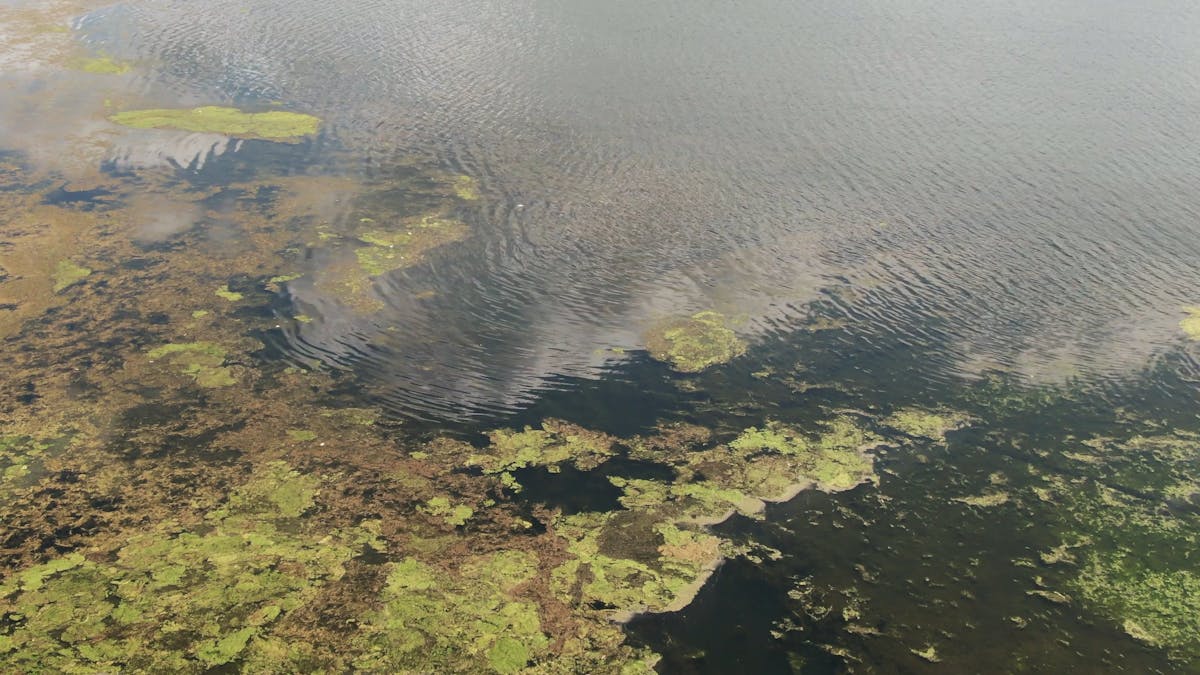 Water Pollution Videos, Download The BEST Free 4k Stock Video Footage ...