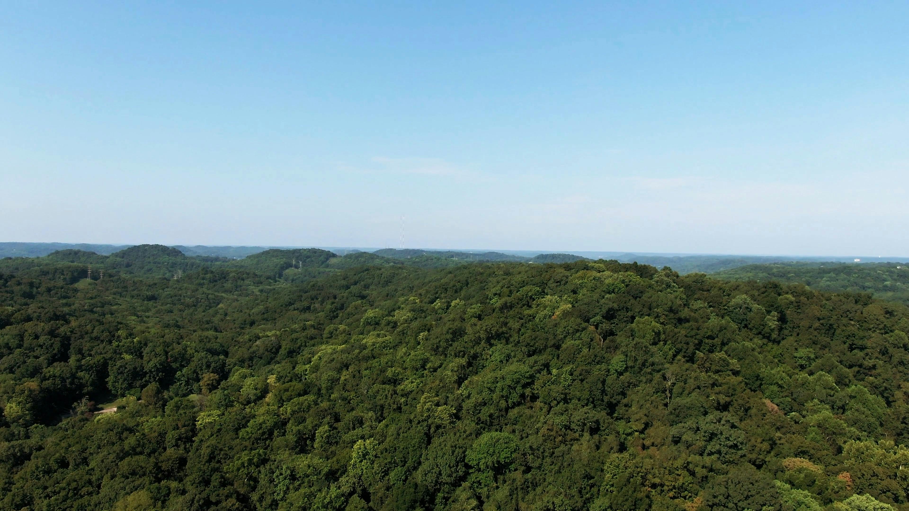 Drone Footage Of A Forest · Free Stock Video