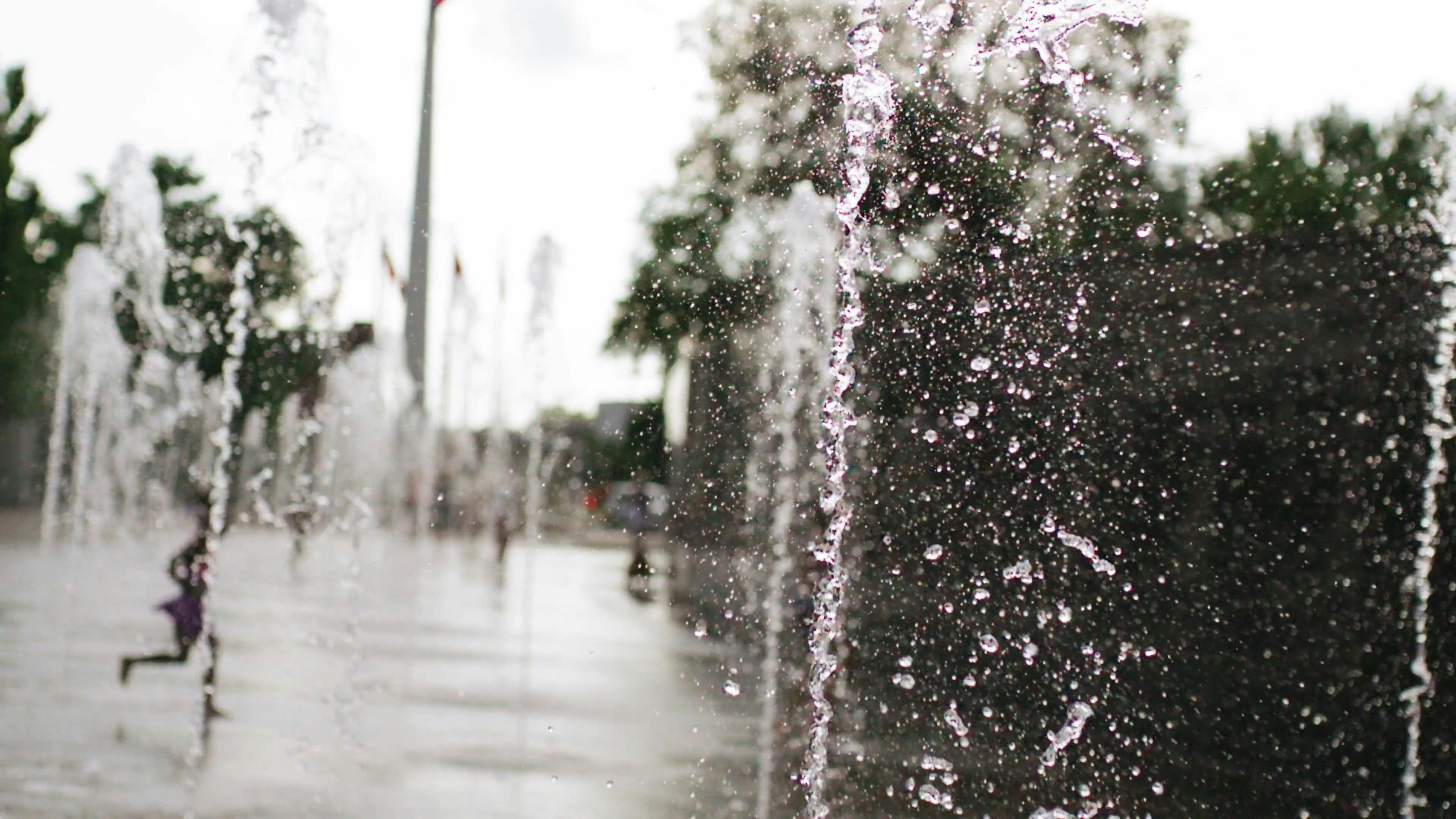 4k Lively Videos, Download The BEST Free 4k Stock Video Footage & 4k ...