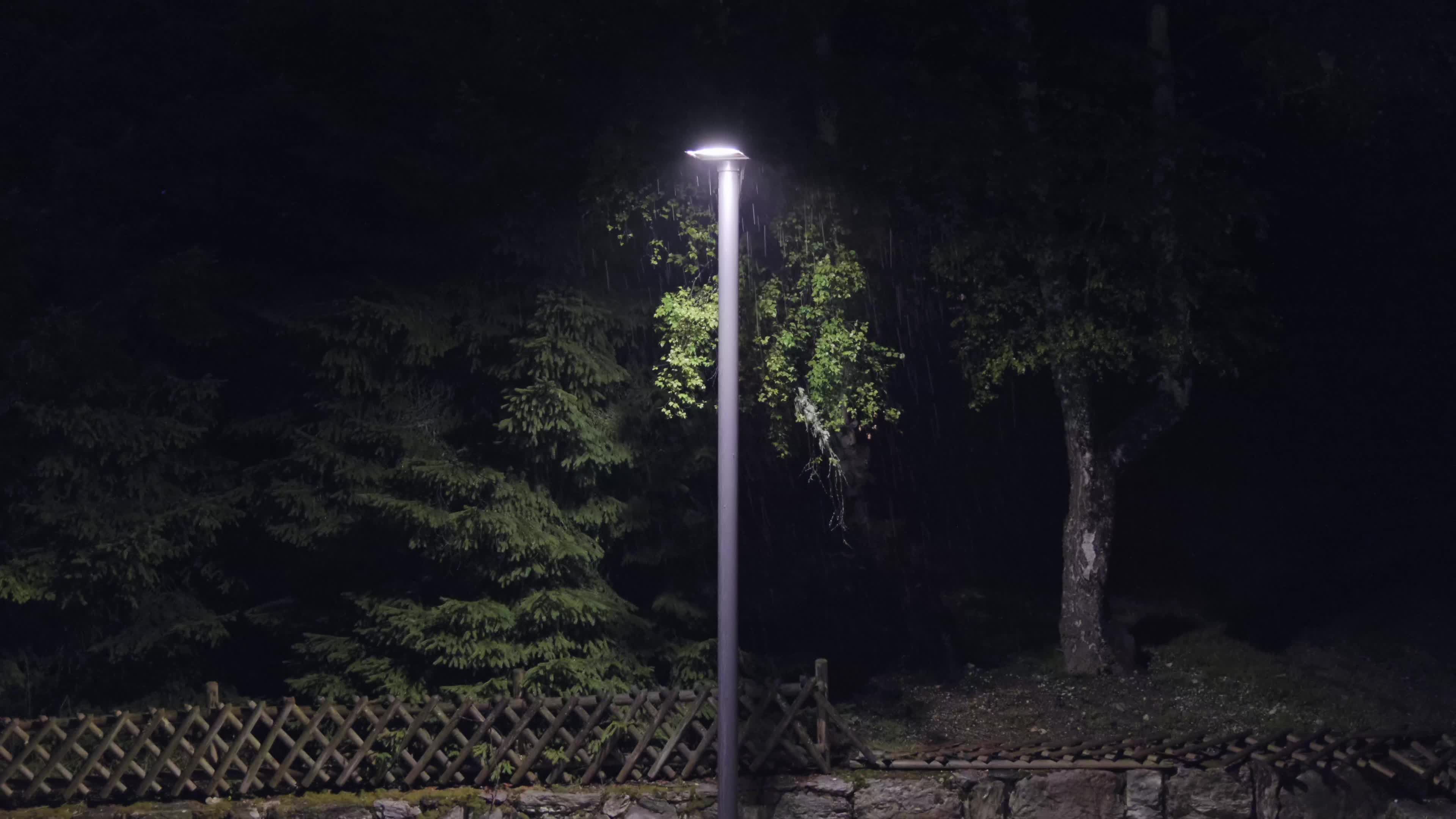 A street light in the dark with trees Free Stock Video Footage, Royalty ...