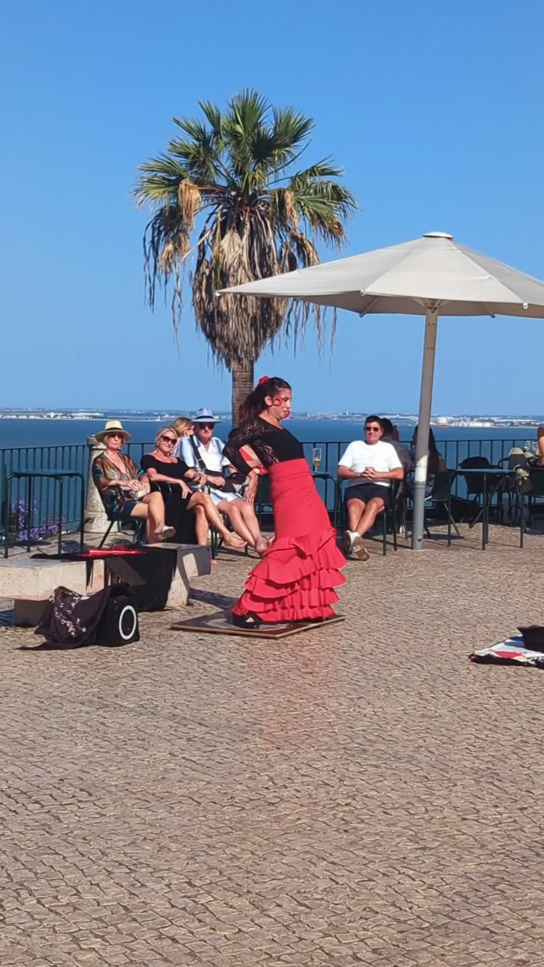 Women performing flamenco on the street Free Stock Video Footage ...