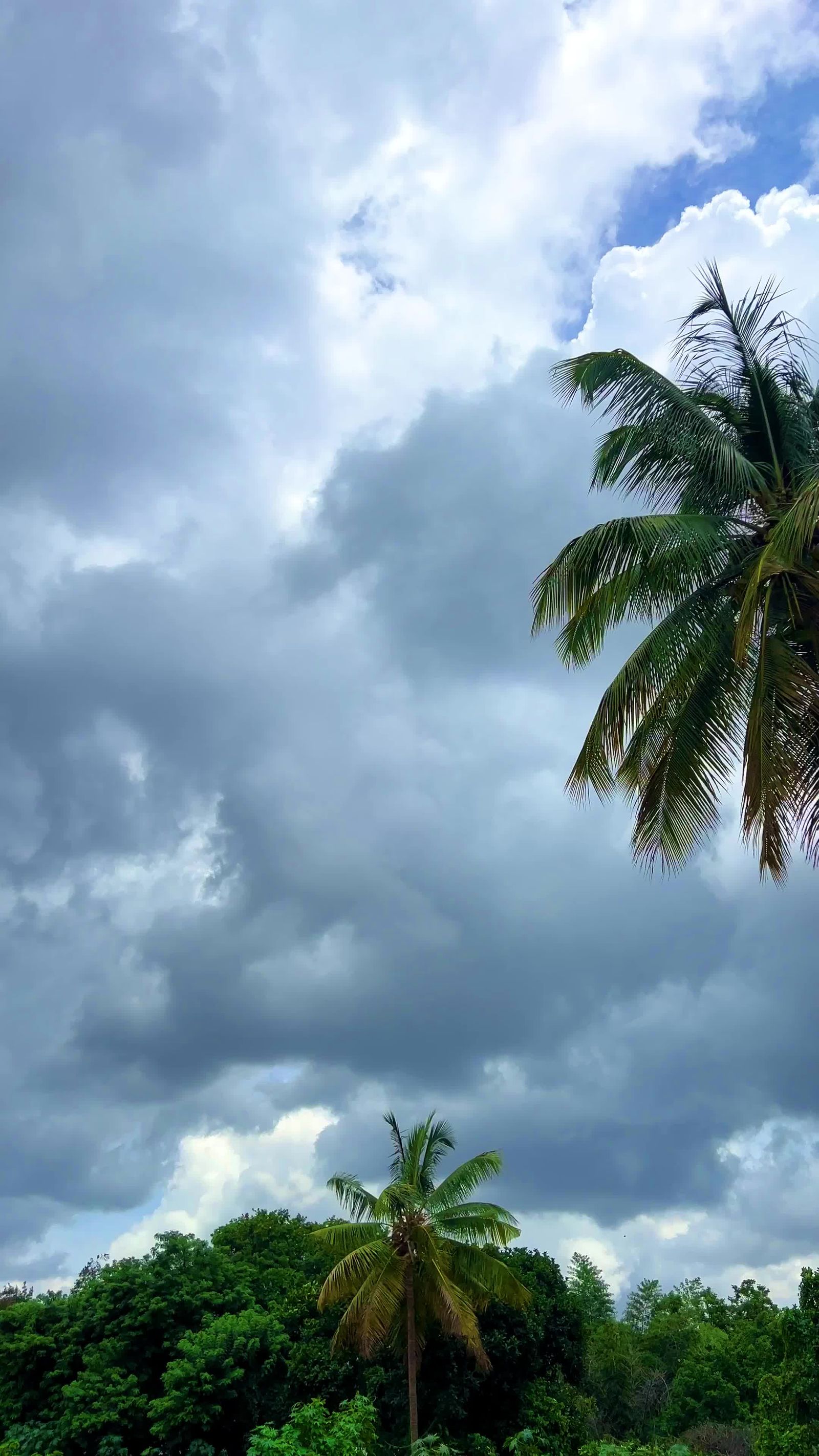 Rainy Sky Videos, Download The BEST Free 4k Stock Video Footage & Rainy ...
