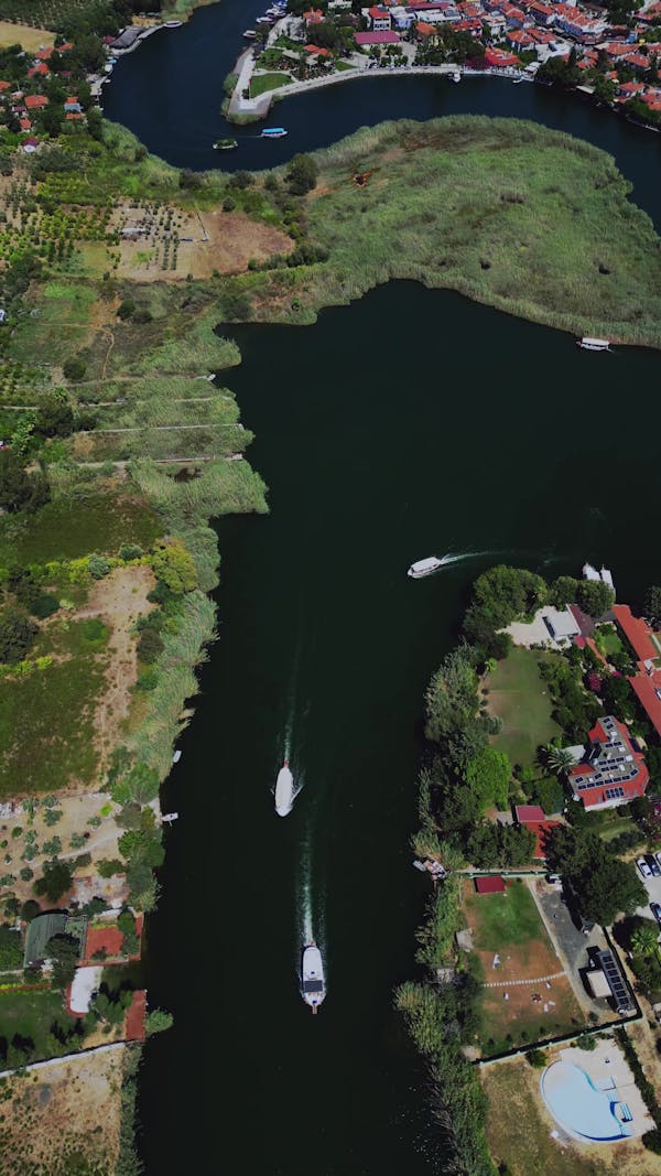 Pron Video Videos, Download The BEST Free 4k Stock Video Footage & Pron ...