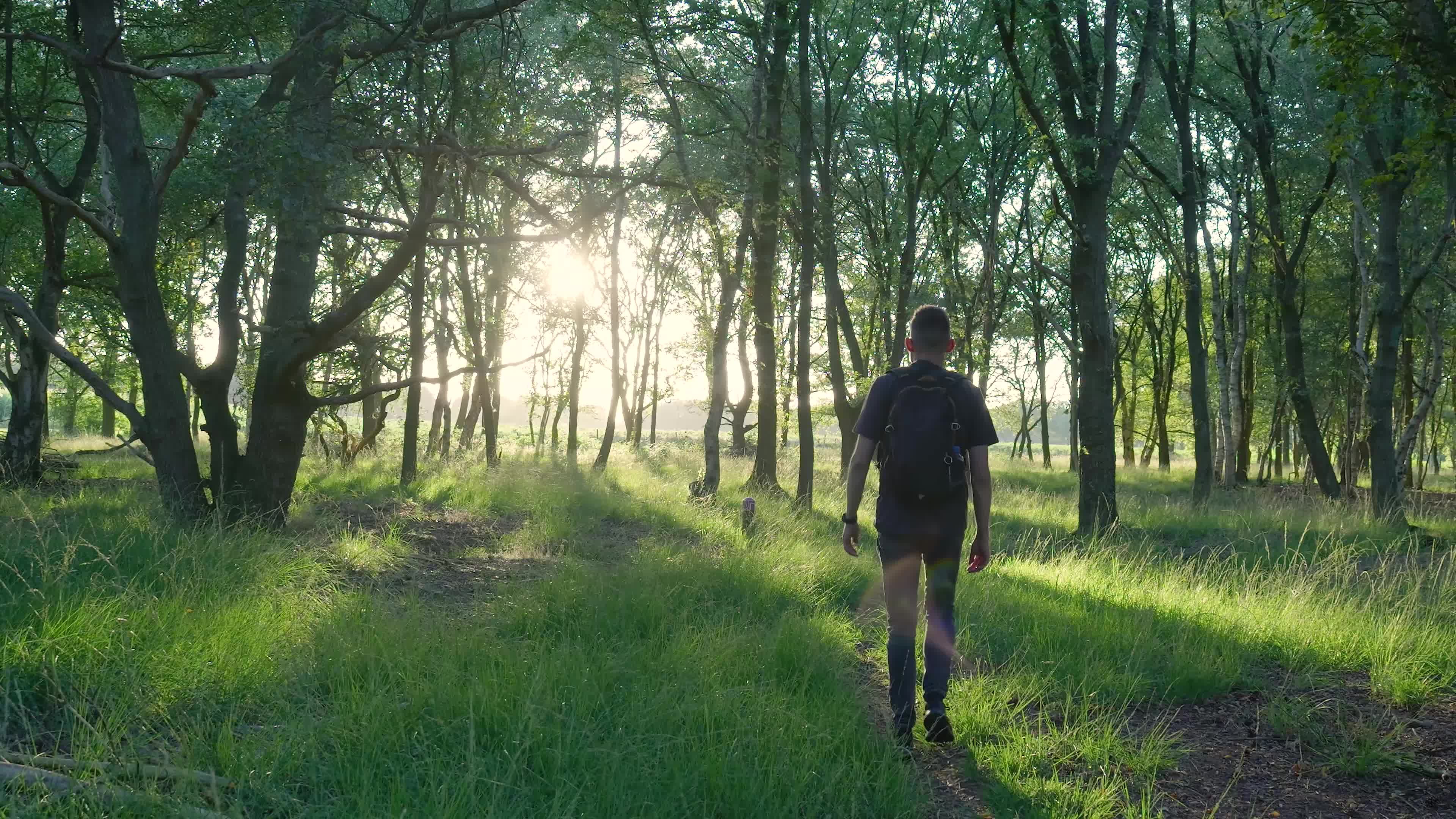 Walker Nus Videos, Download The BEST Free 4k Stock Video Footage ...