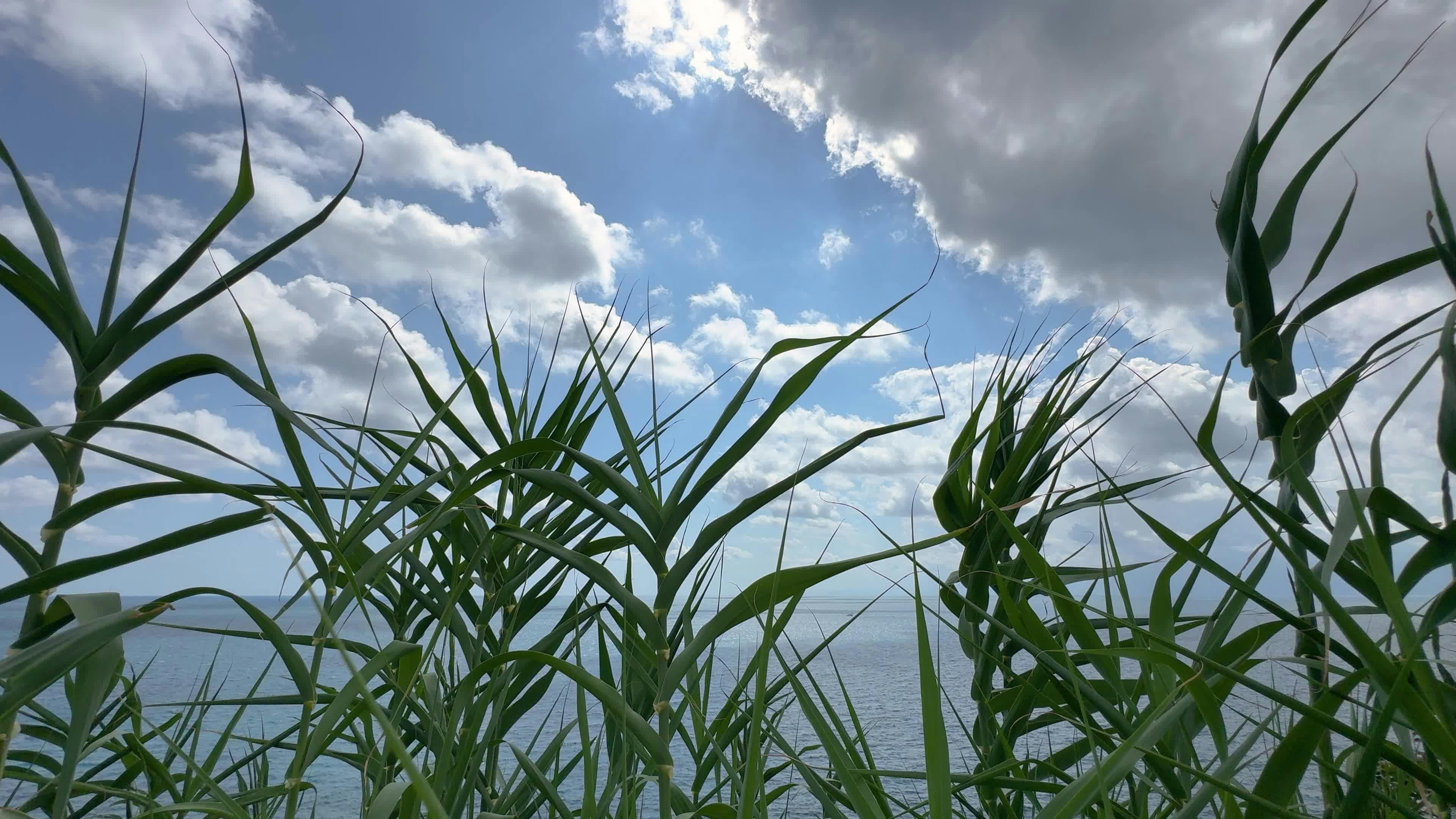 Farm Backgrounds Videos, Download The BEST Free 4k Stock Video Footage ...