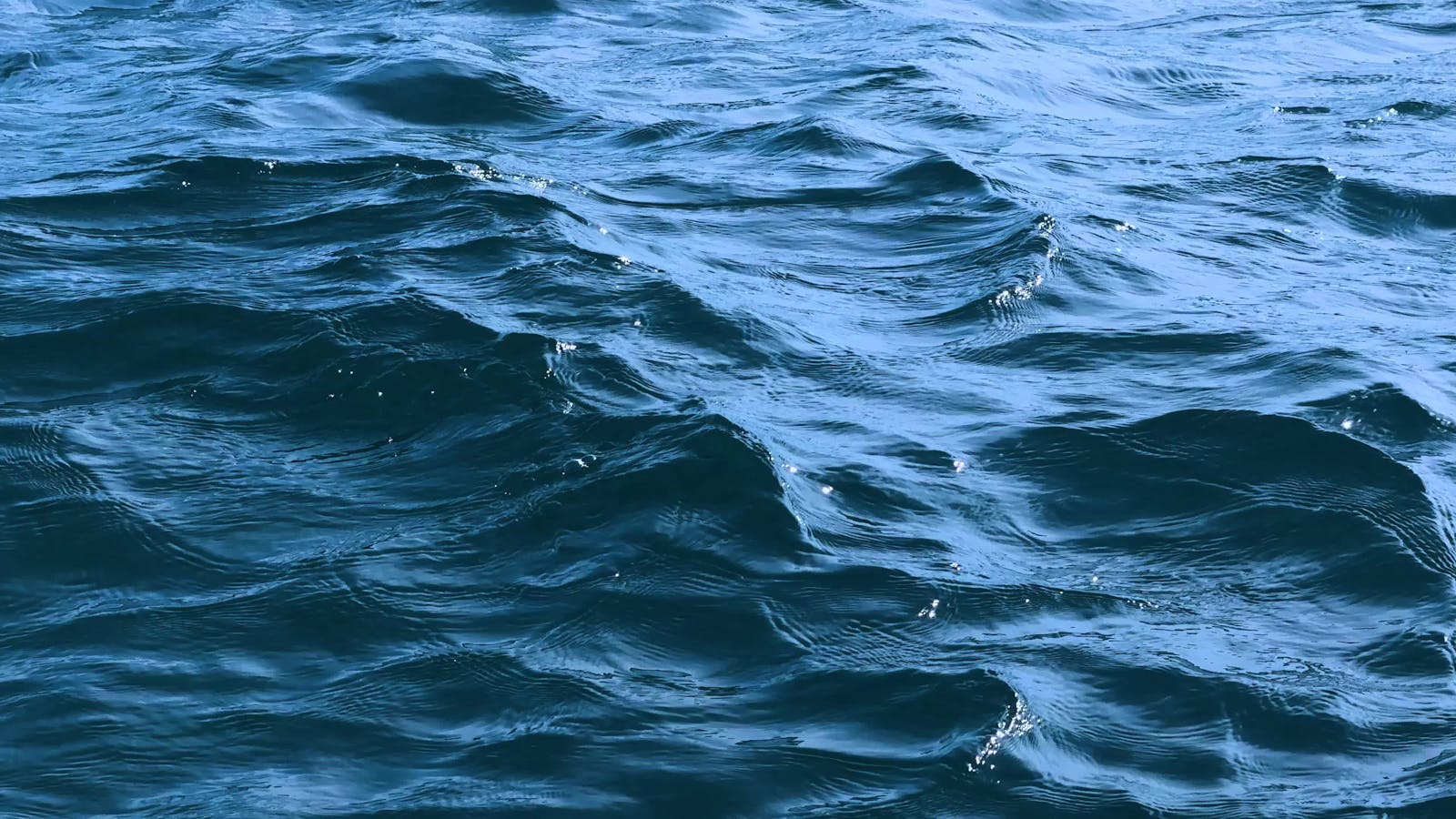 Motion Backgrounds Videos, Download The BEST Free 4k Stock Video ...