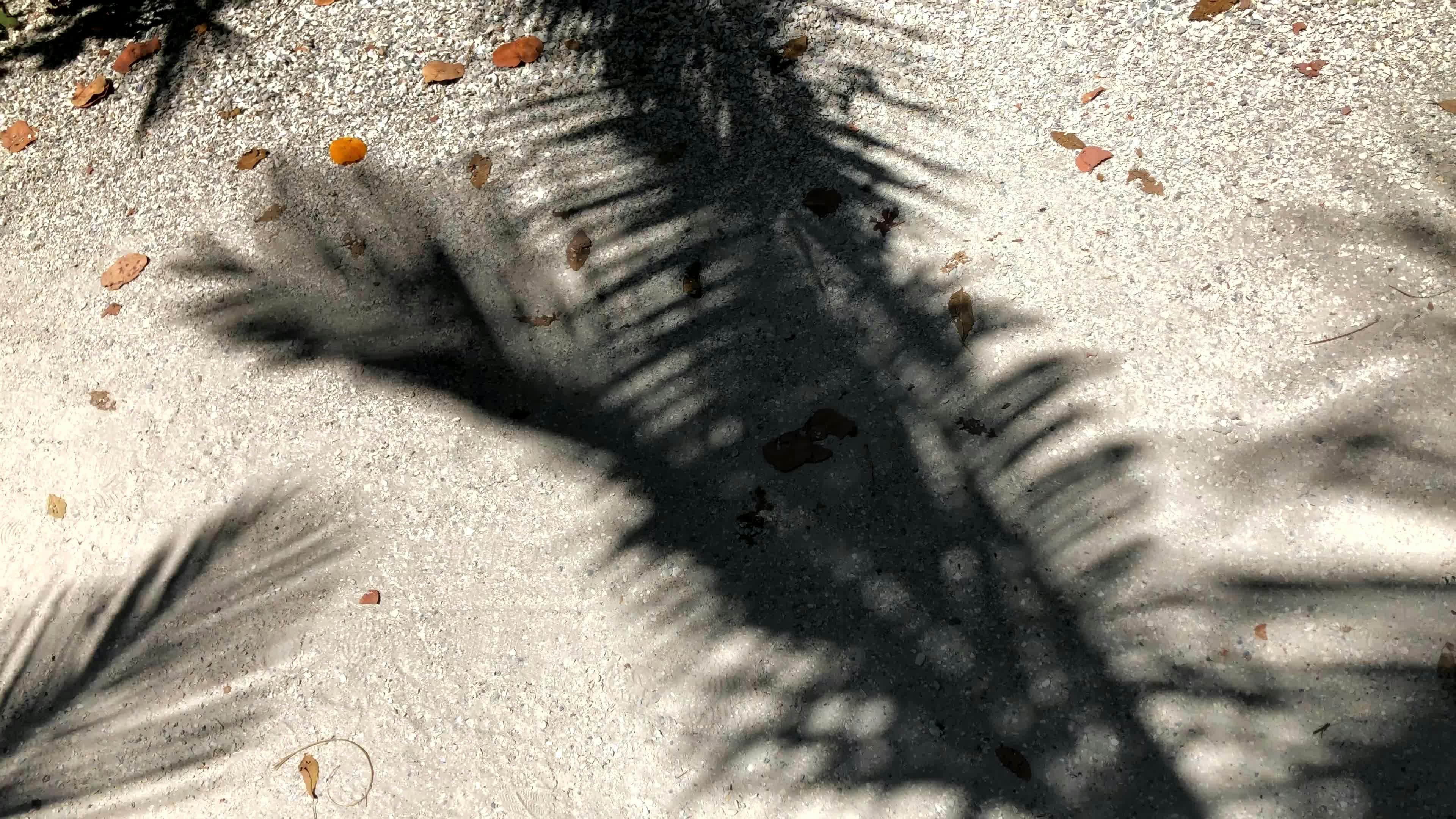 Concrete Aesthetics Videos, Download The BEST Free 4k Stock Video ...