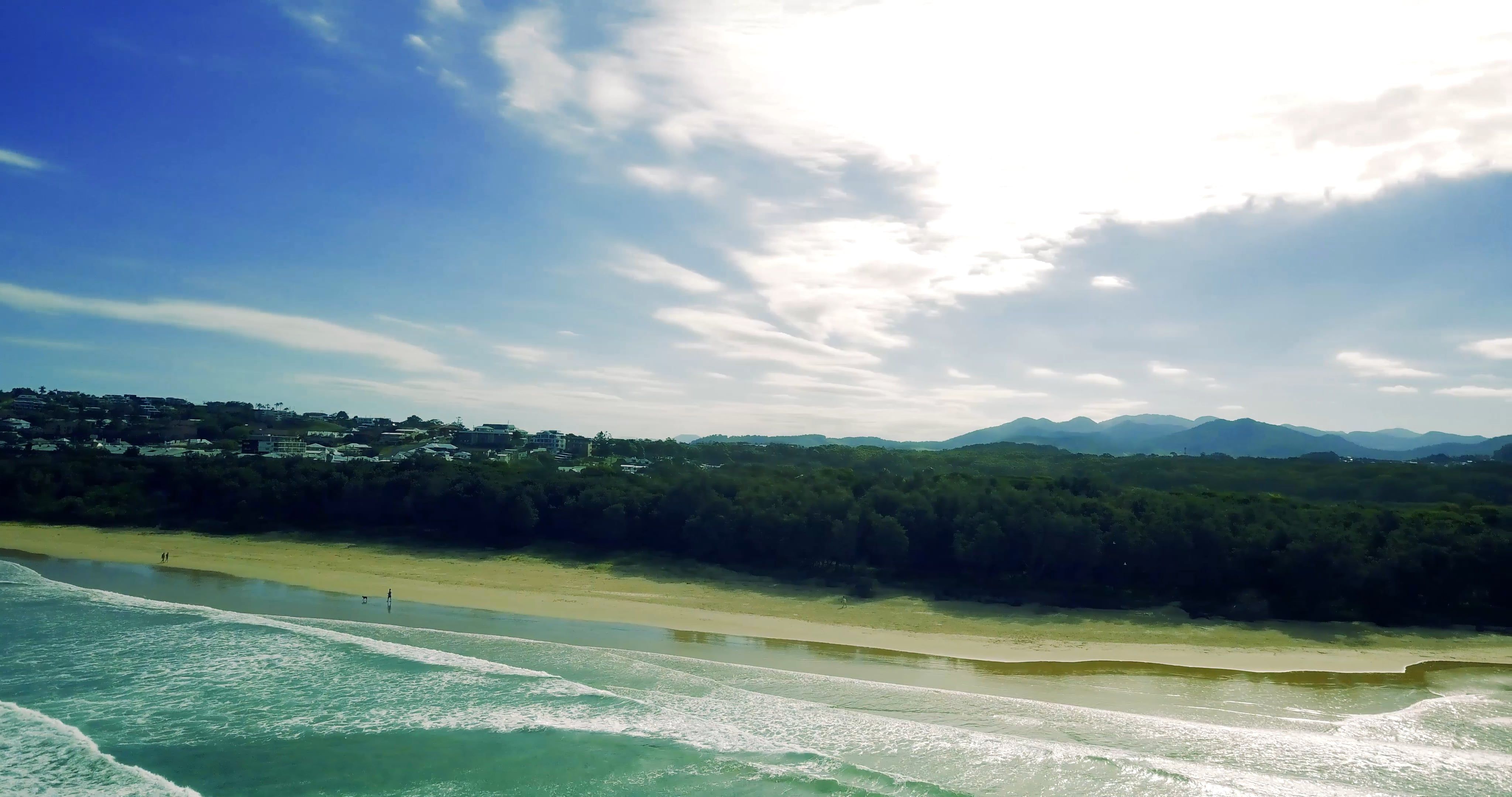 A Forested Coastline Of The Sea · Free Stock Video