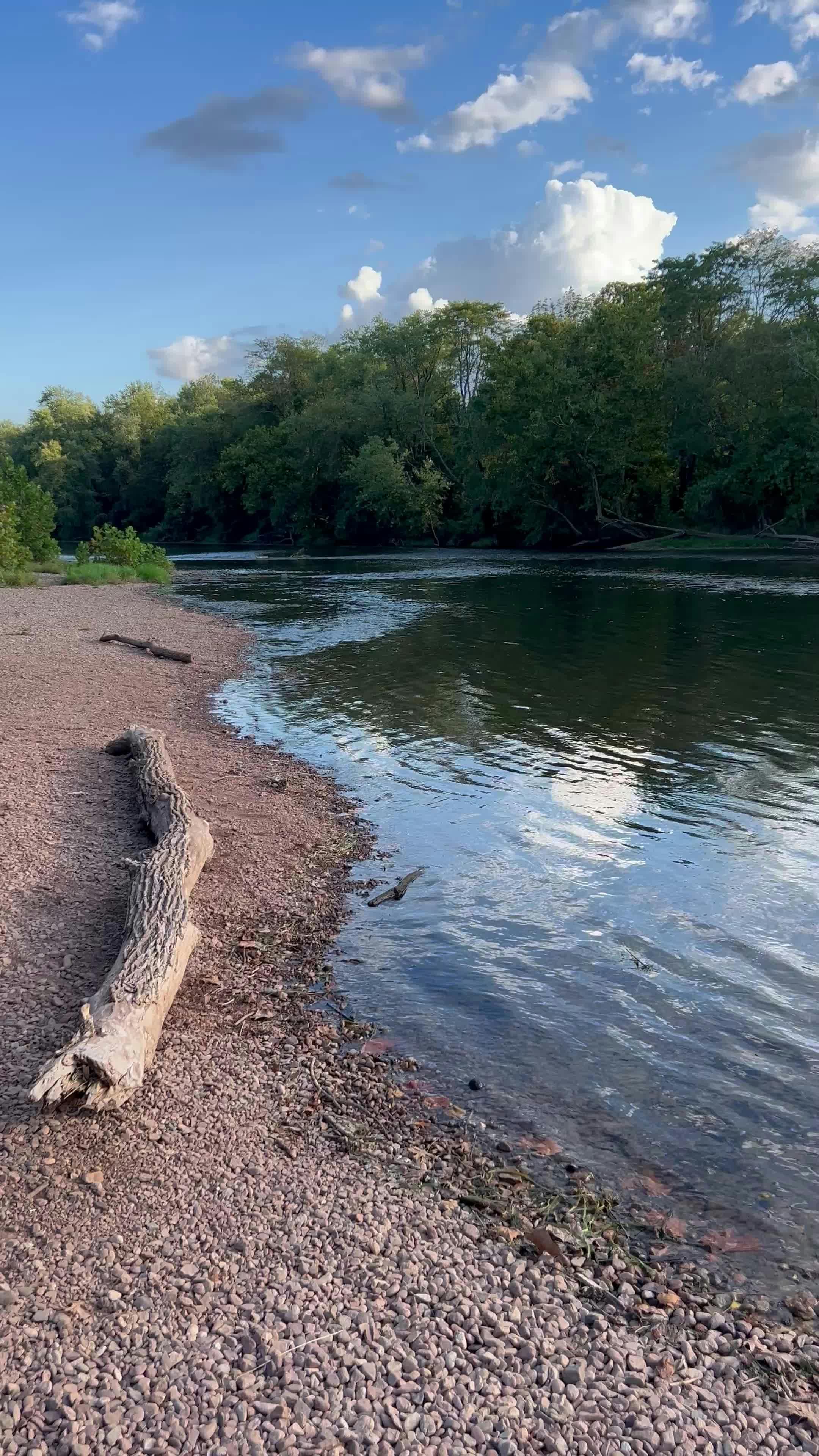 Log Footage Videos, Download The BEST Free 4k Stock Video Footage & Log ...