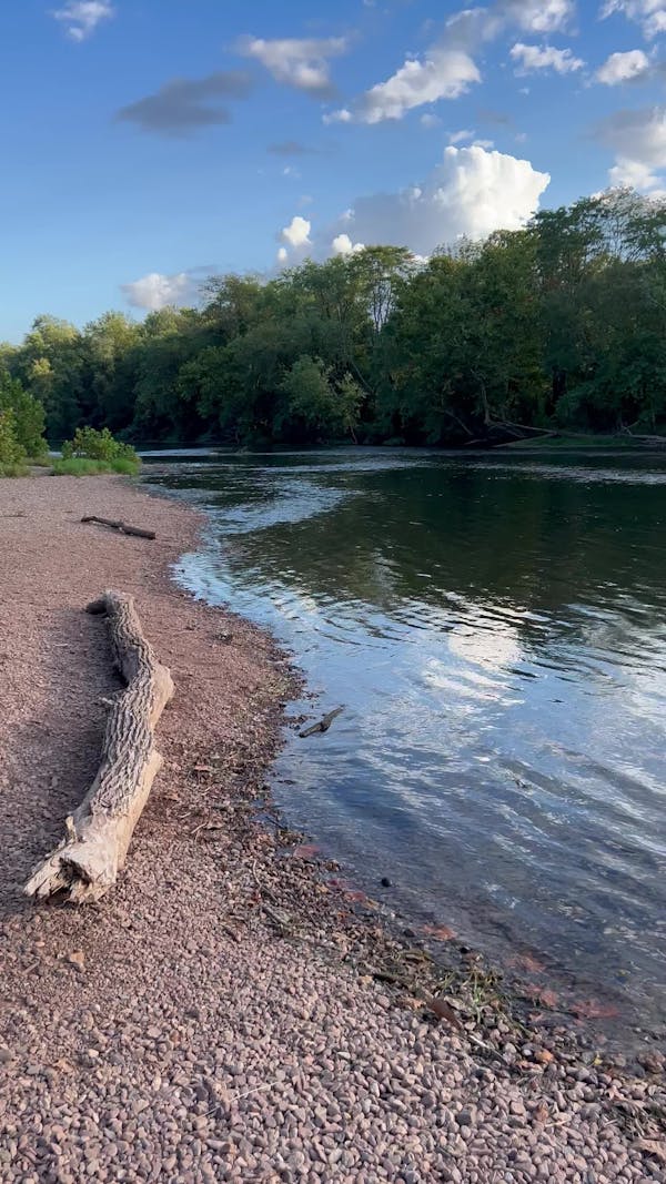 Log Footage Videos, Download The BEST Free 4k Stock Video Footage & Log ...