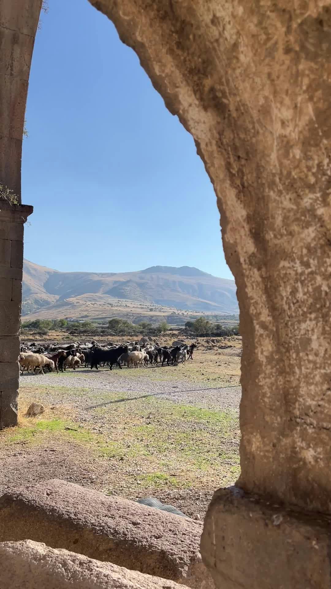 Arch Framing Videos, Download The BEST Free 4k Stock Video Footage ...