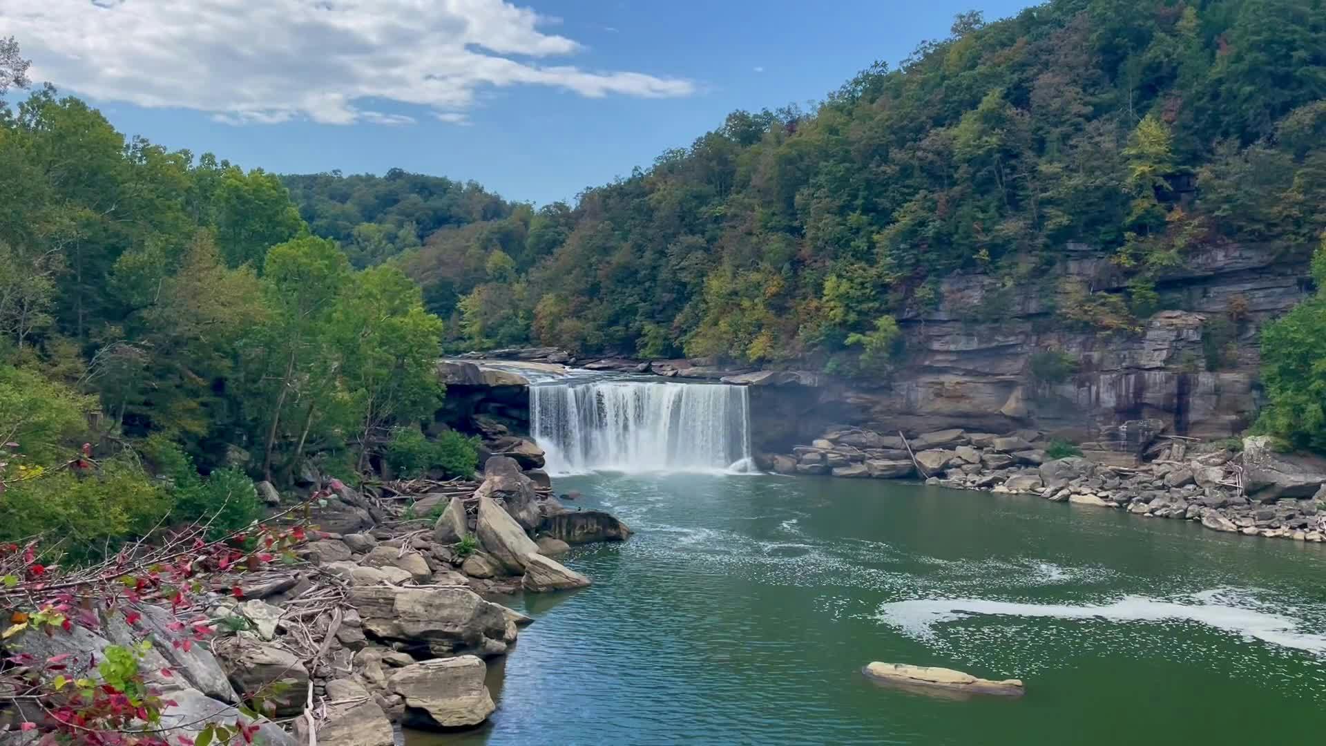Kentucky Summer Videos, Download The BEST Free 4k Stock Video Footage ...