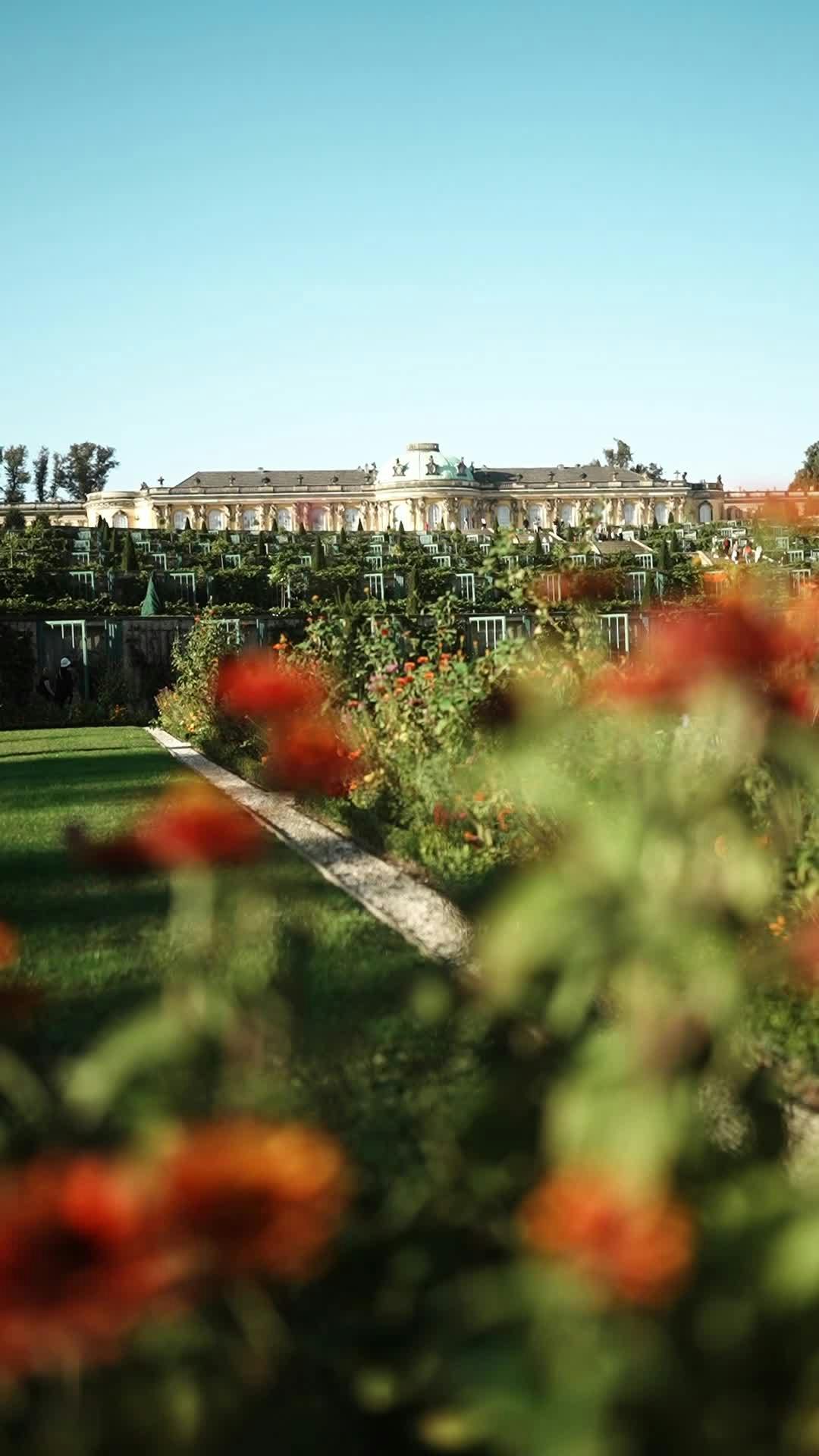 Rococo Architecture Videos, Download The BEST Free 4k Stock Video ...