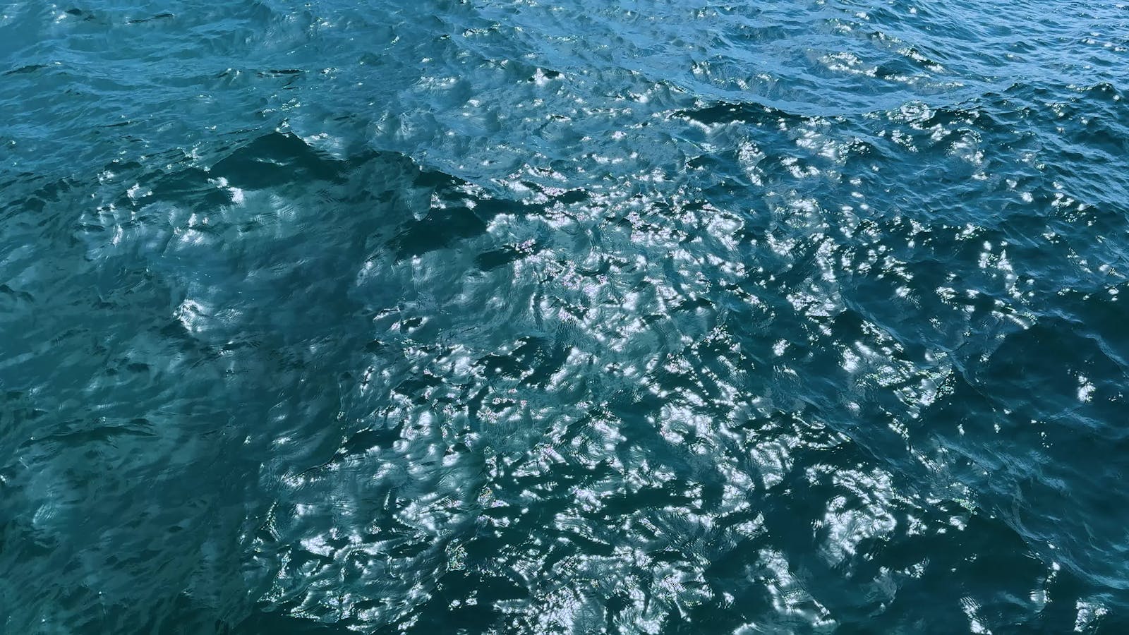 Motion Backgrounds Videos, Download The BEST Free 4k Stock Video ...