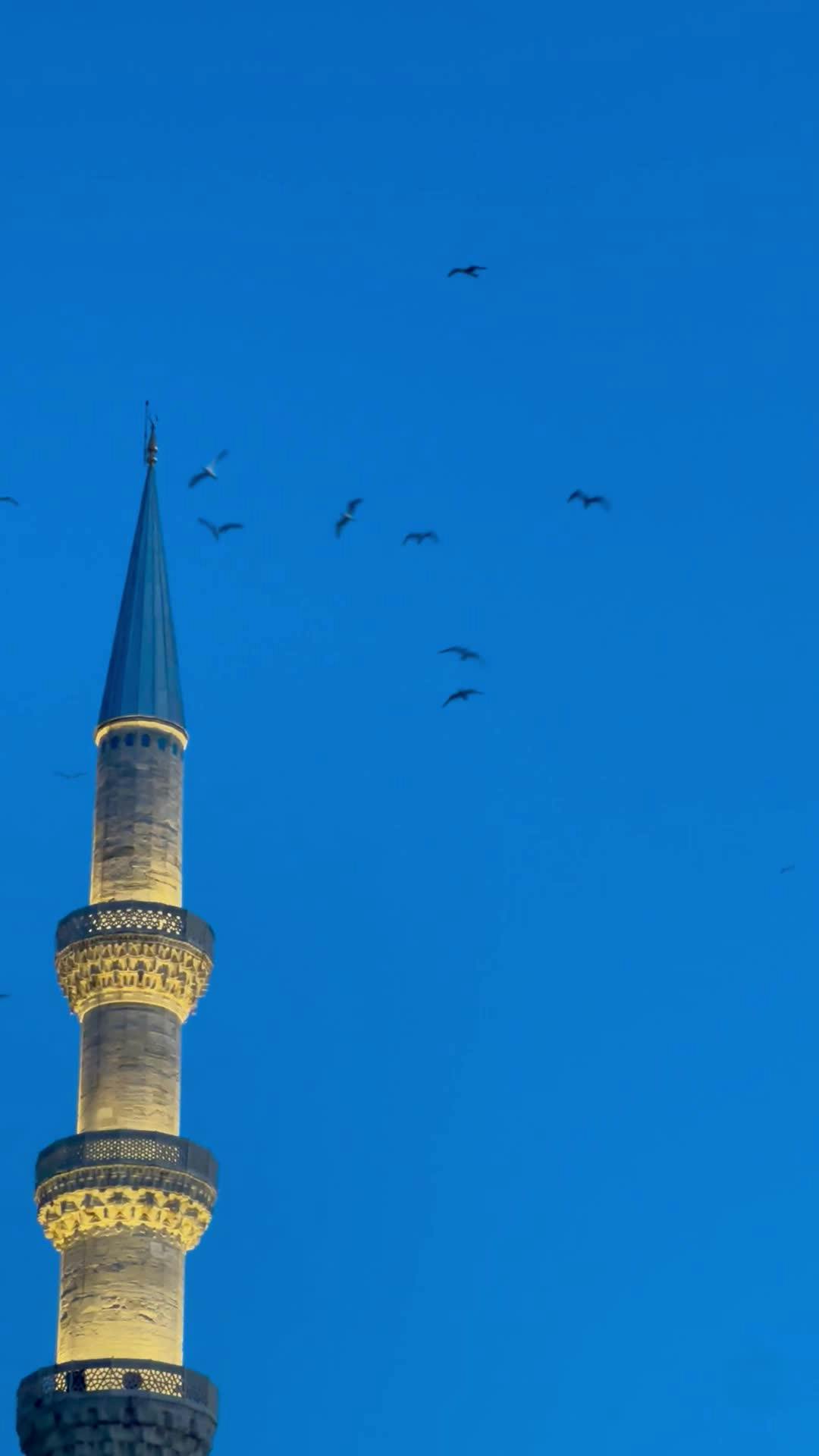 Moon Vertical Videos, Download The BEST Free 4k Stock Video Footage ...