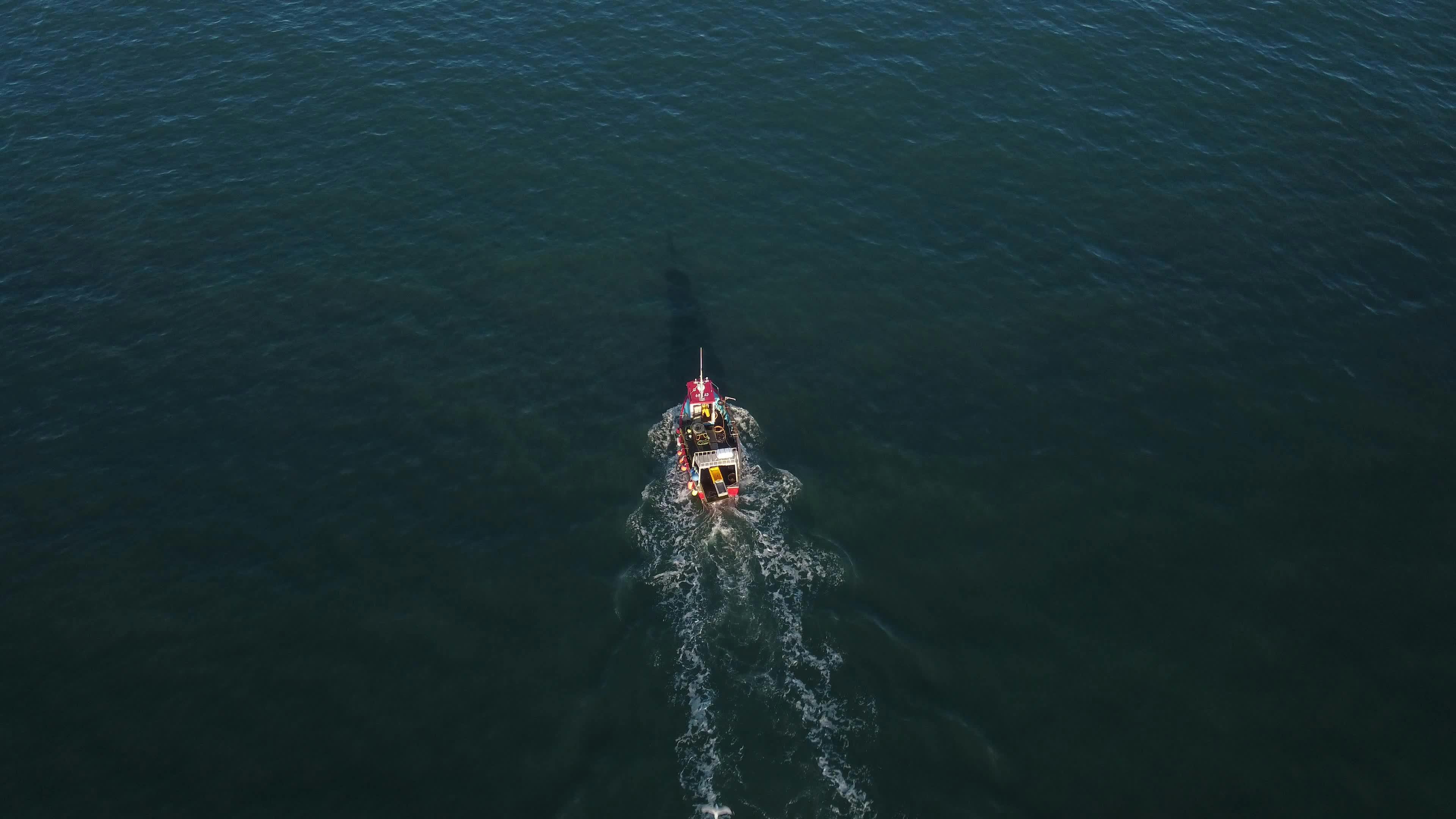 Doksan Still Videos, Download The BEST Free 4k Stock Video Footage ...