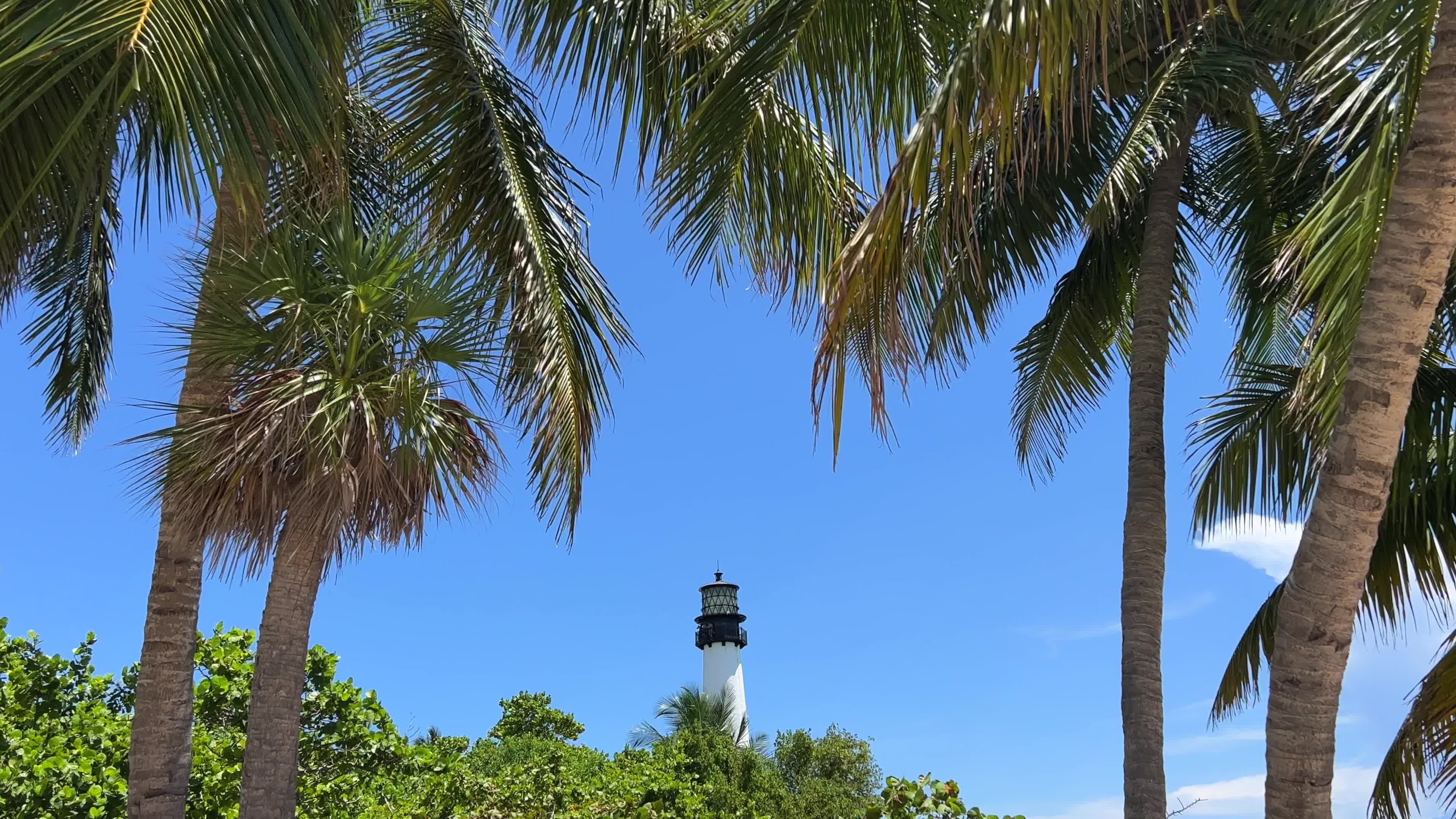 Tropical Beach with Palm Trees and Lighthouse Free Stock Video Footage ...