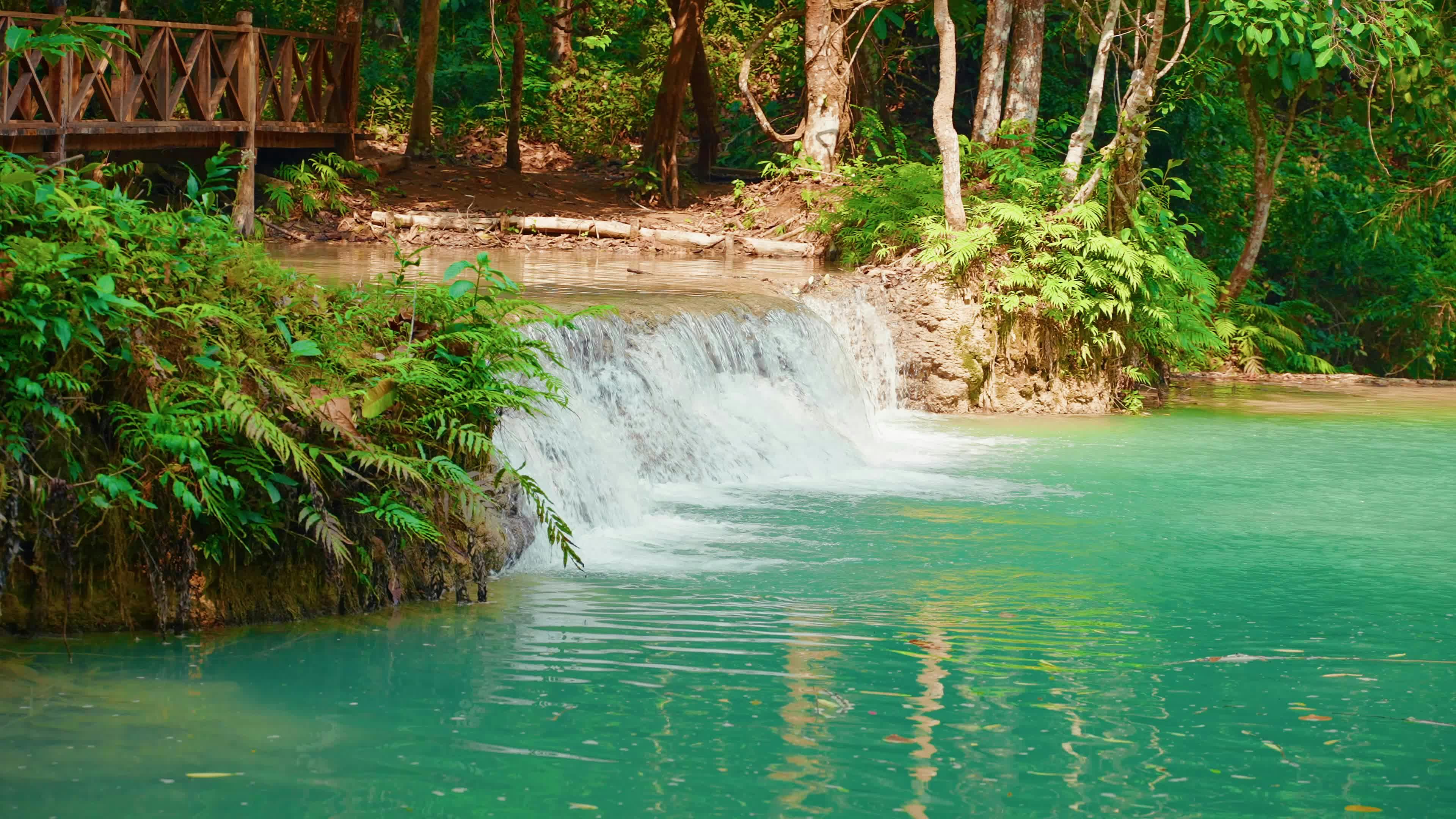 Disney Streaming Videos, Download The BEST Free 4k Stock Video Footage ...