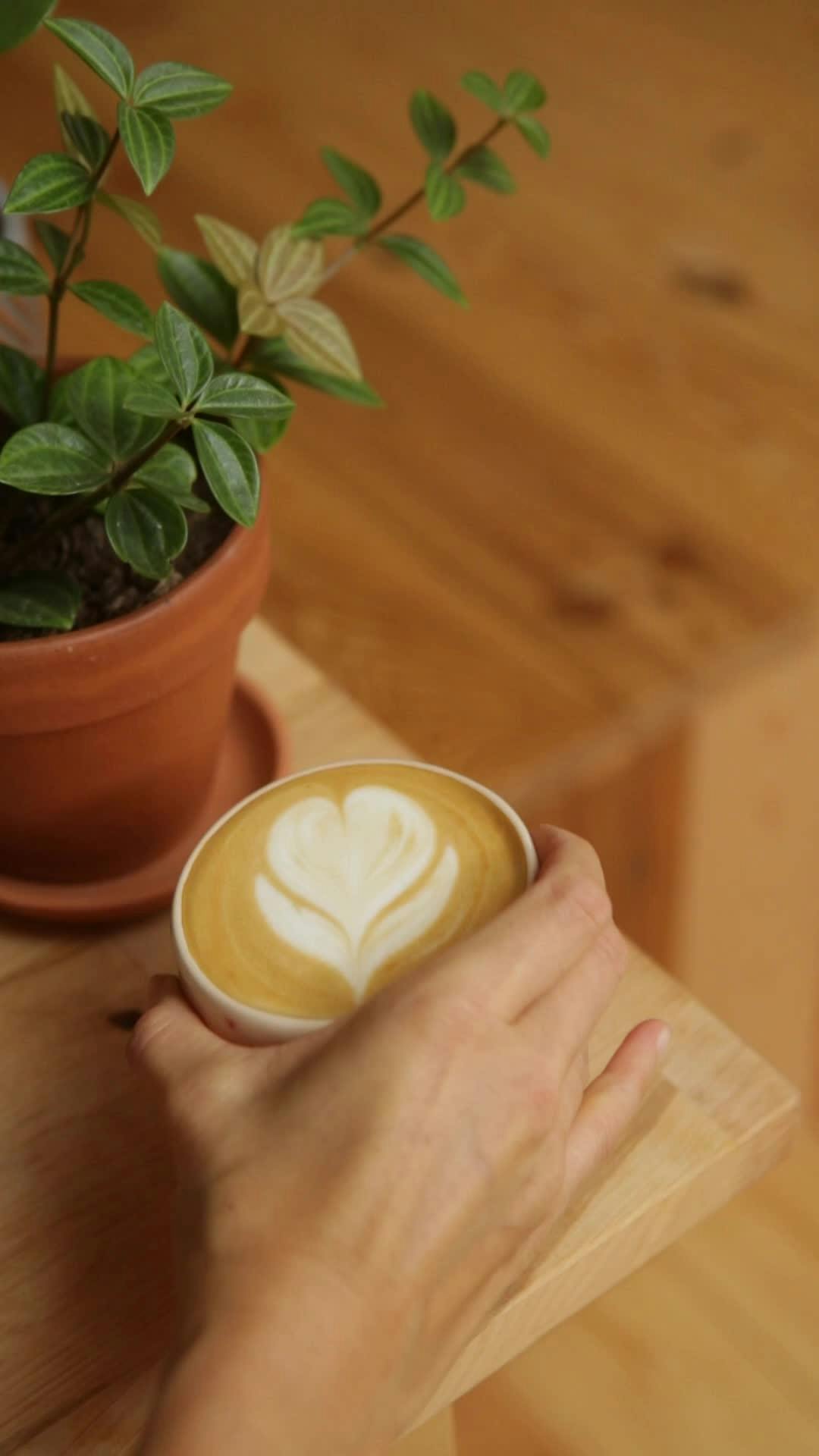 Hot Coffee Cinemagraph Free Stock Video Footage, Royalty-Free 4K & HD ...