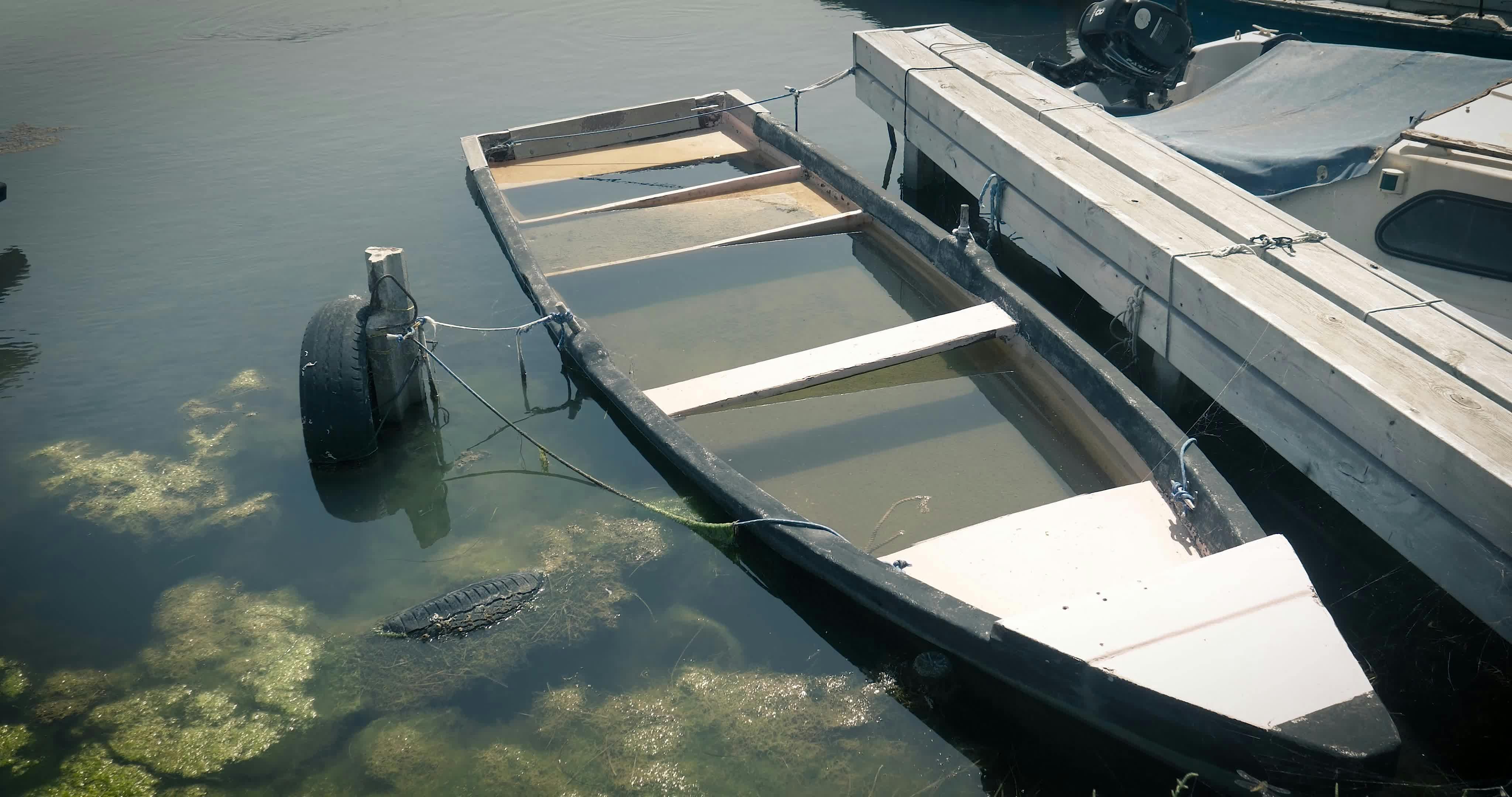 Fishing, Boat Videos, Download The BEST Free 4k Stock Video Footage ...