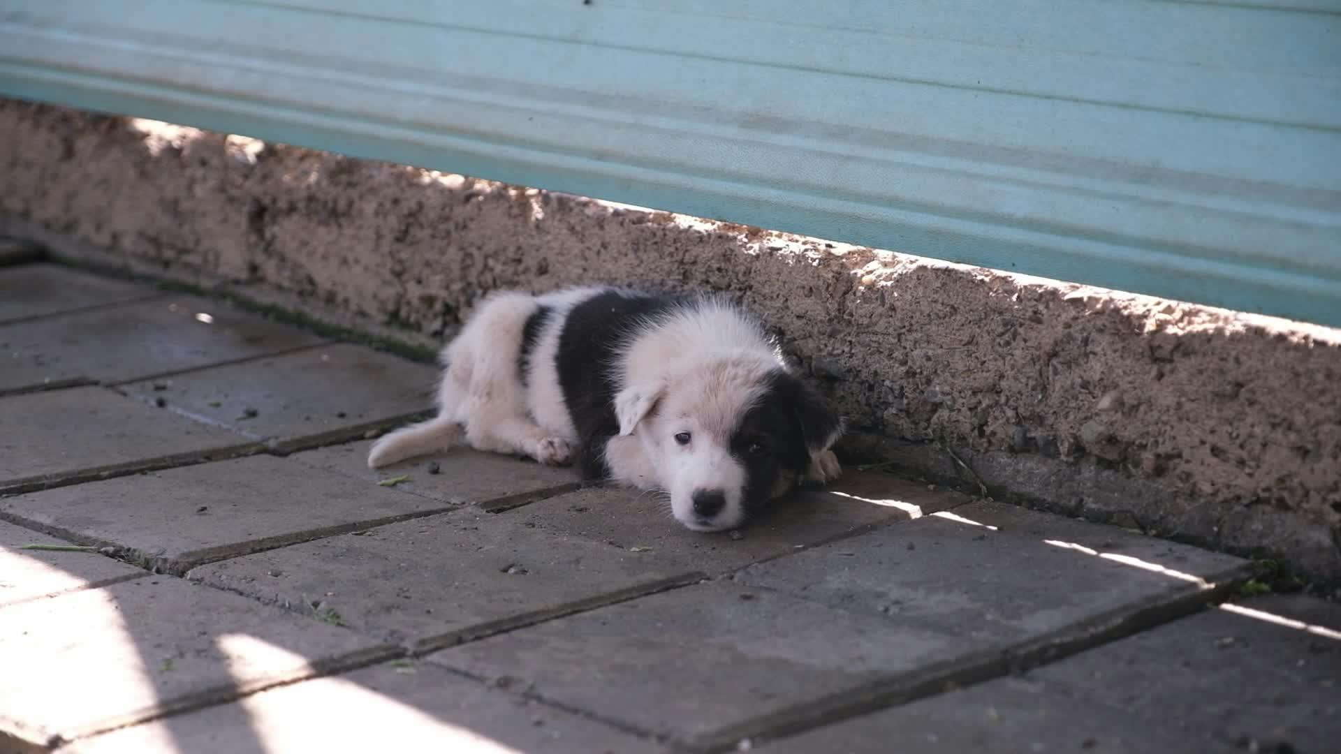 10.000+ Besten Sad man waiting Kostenlose Videos · Lizenzfreie Videos ...