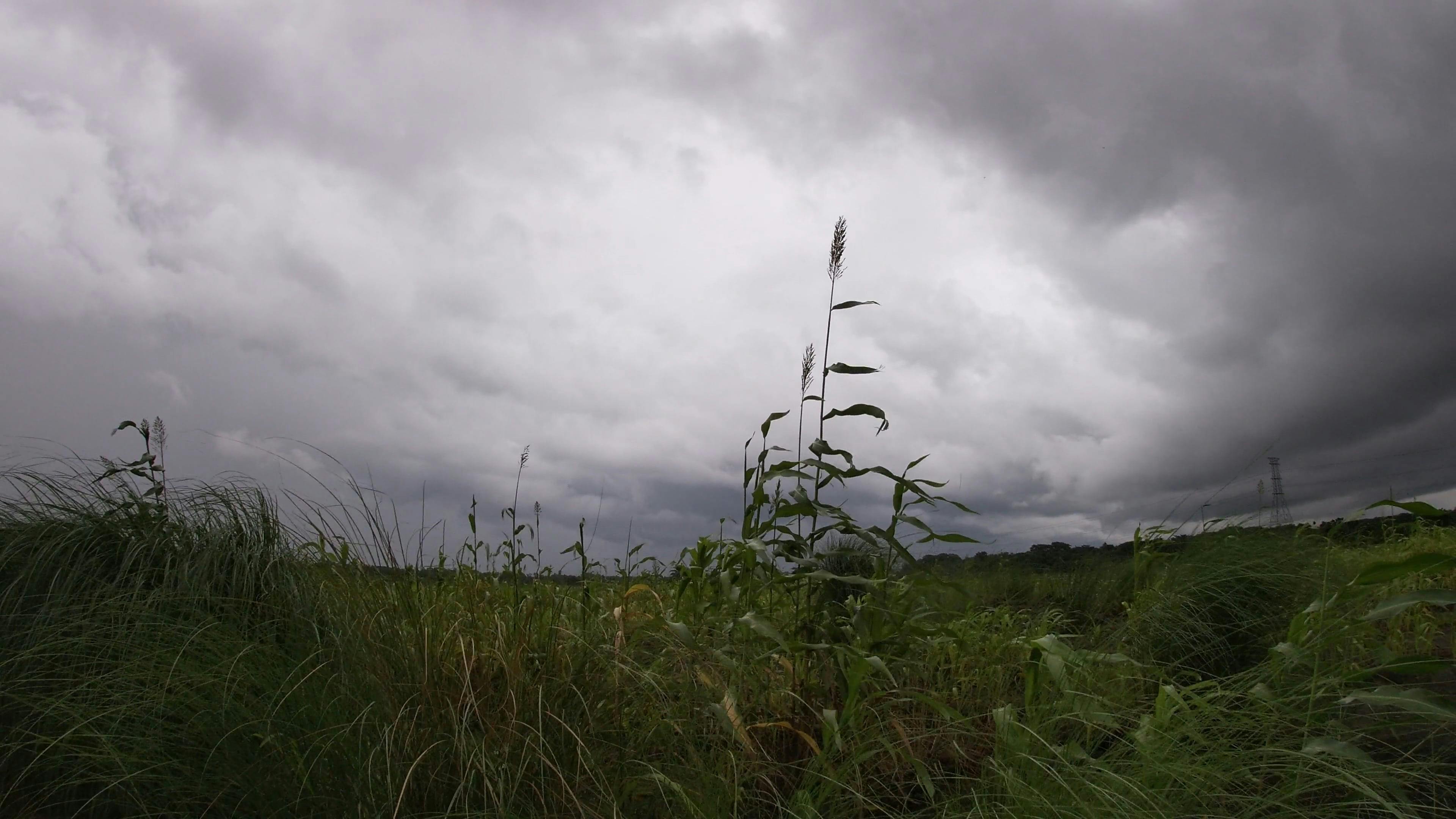 A Windy Day Under Gray Sky · Free Stock Video