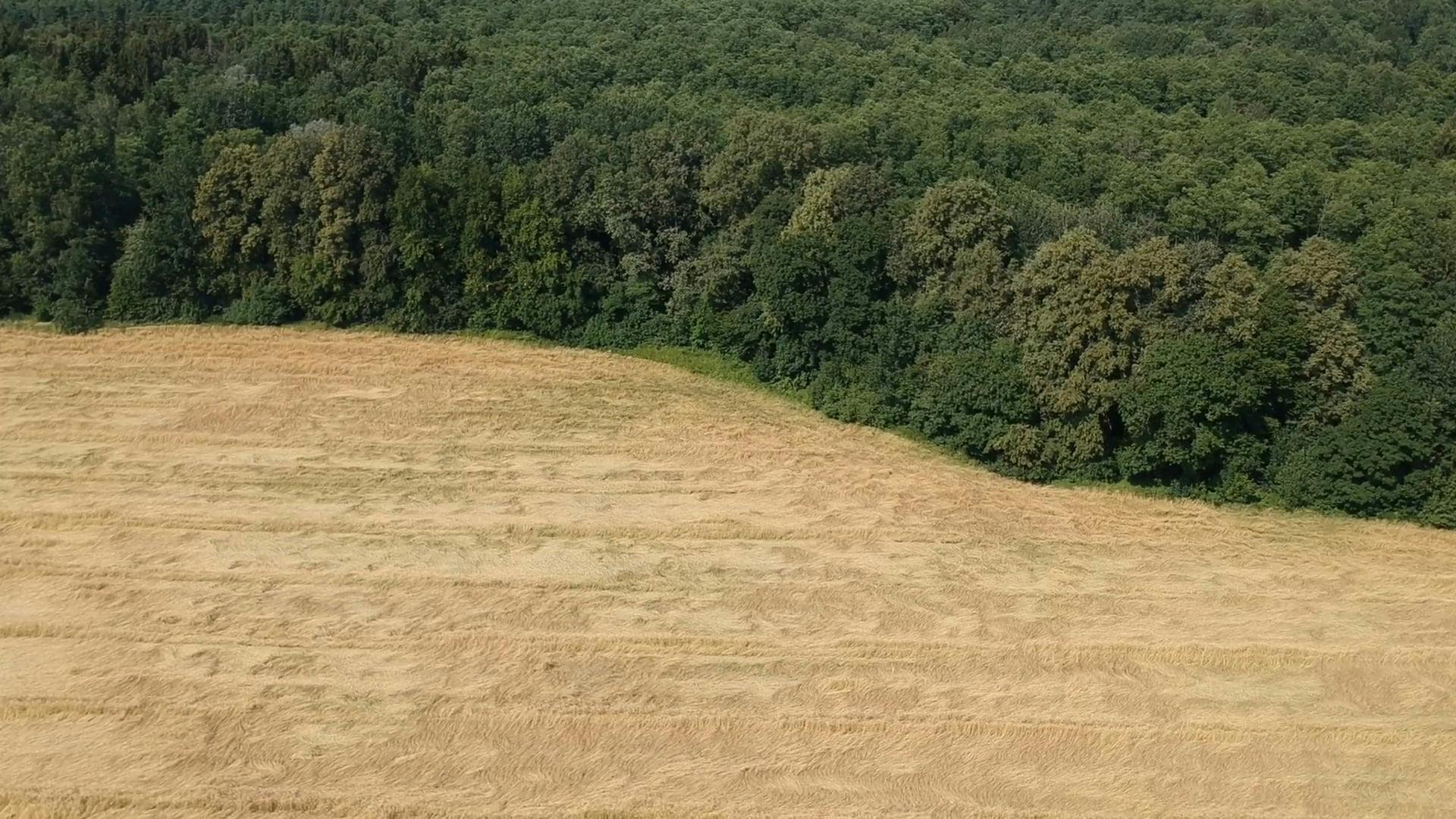 Deforestation And Farming Videos, Download The BEST Free 4k Stock Video ...