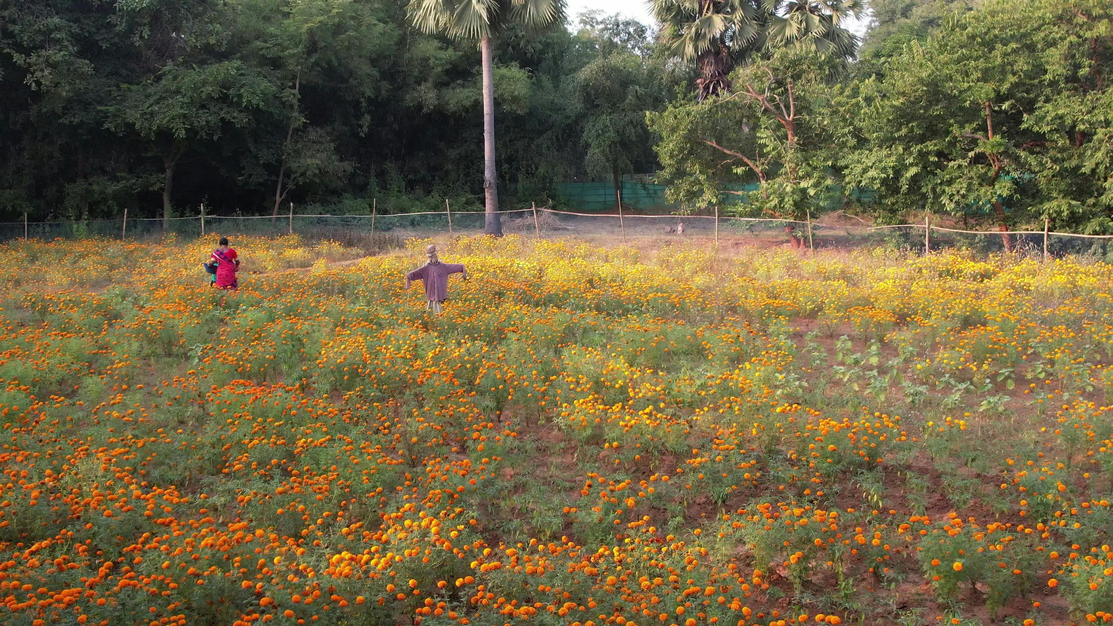 Weekend Outing Videos, Download The BEST Free 4k Stock Video Footage ...