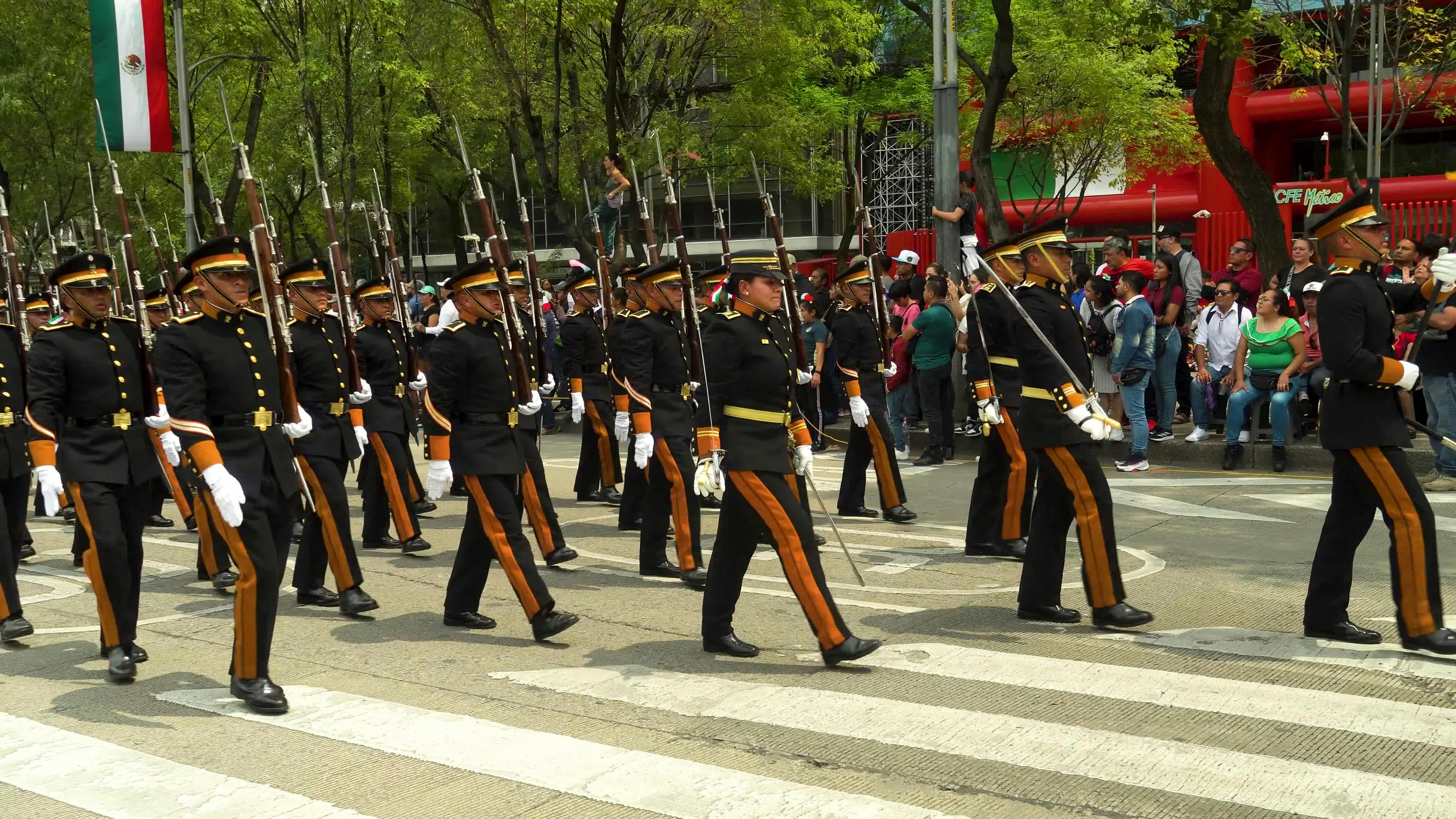 Vídeos de stock gratuitos sobre al aire libre, arnés, batalla, bolsa ...