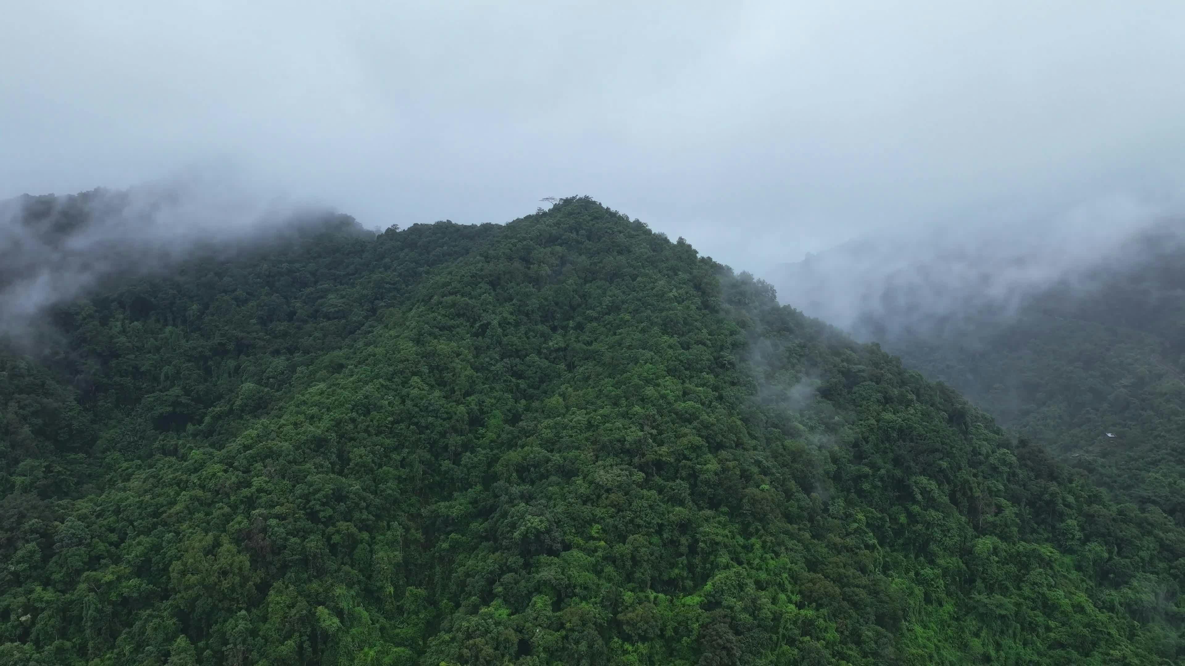 Free Download 2pac Videos, Download The BEST Free 4k Stock Video ...