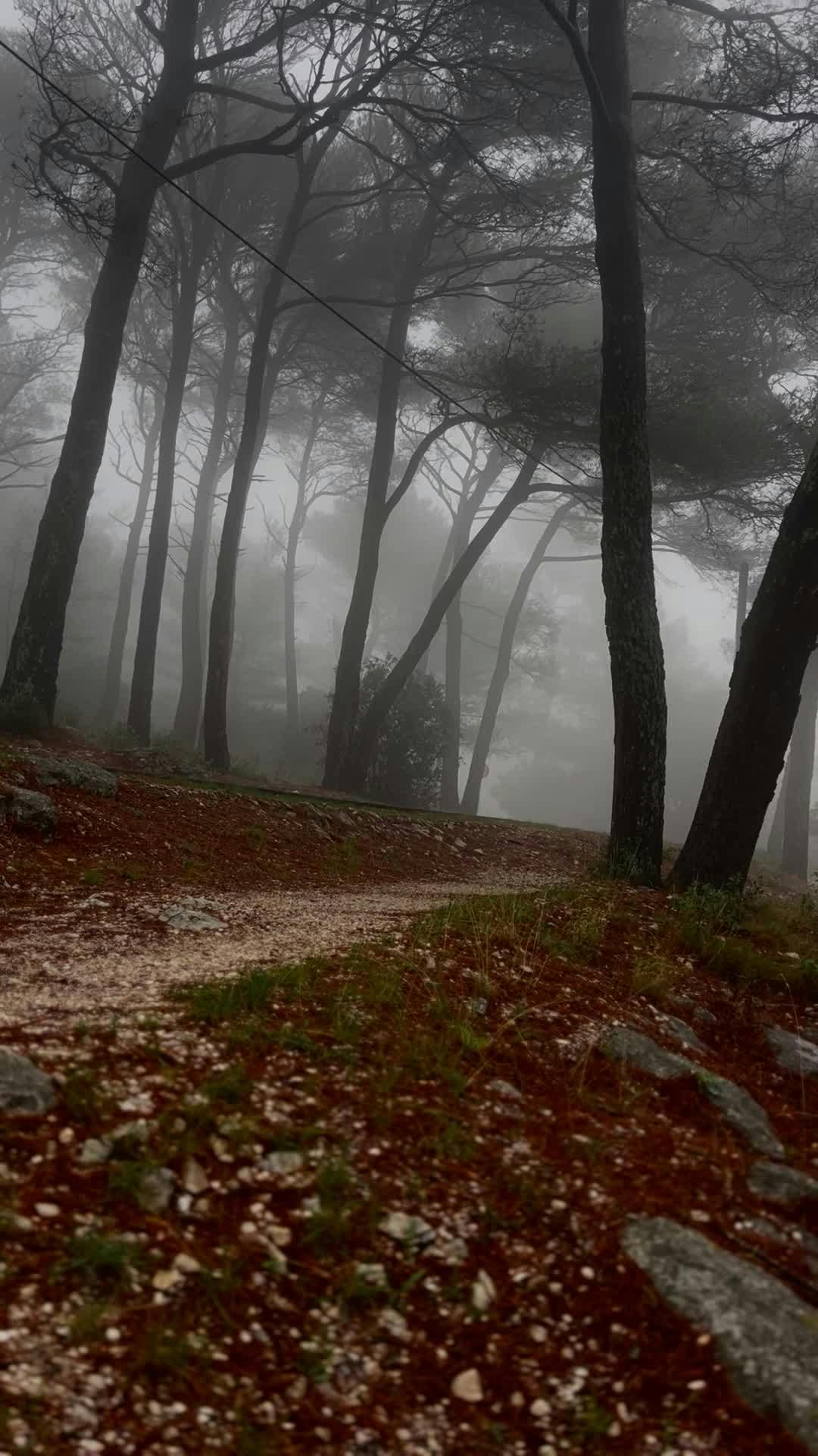 Lords Ground Videos, Download The BEST Free 4k Stock Video Footage ...