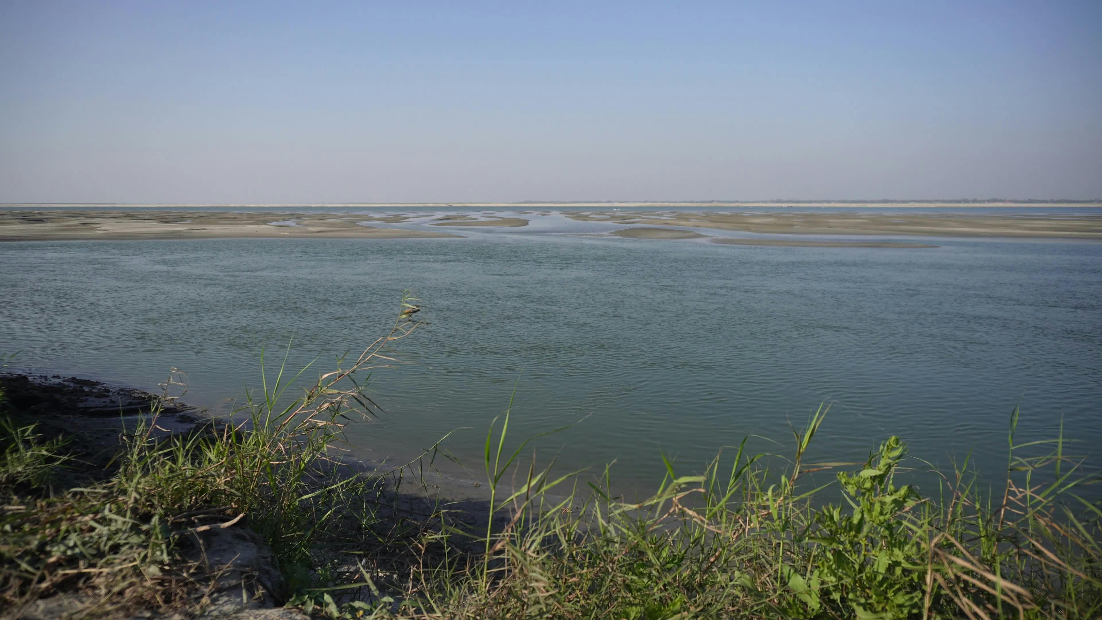 Pahlawan Bangladesh Videos, Download The BEST Free 4k Stock Video ...