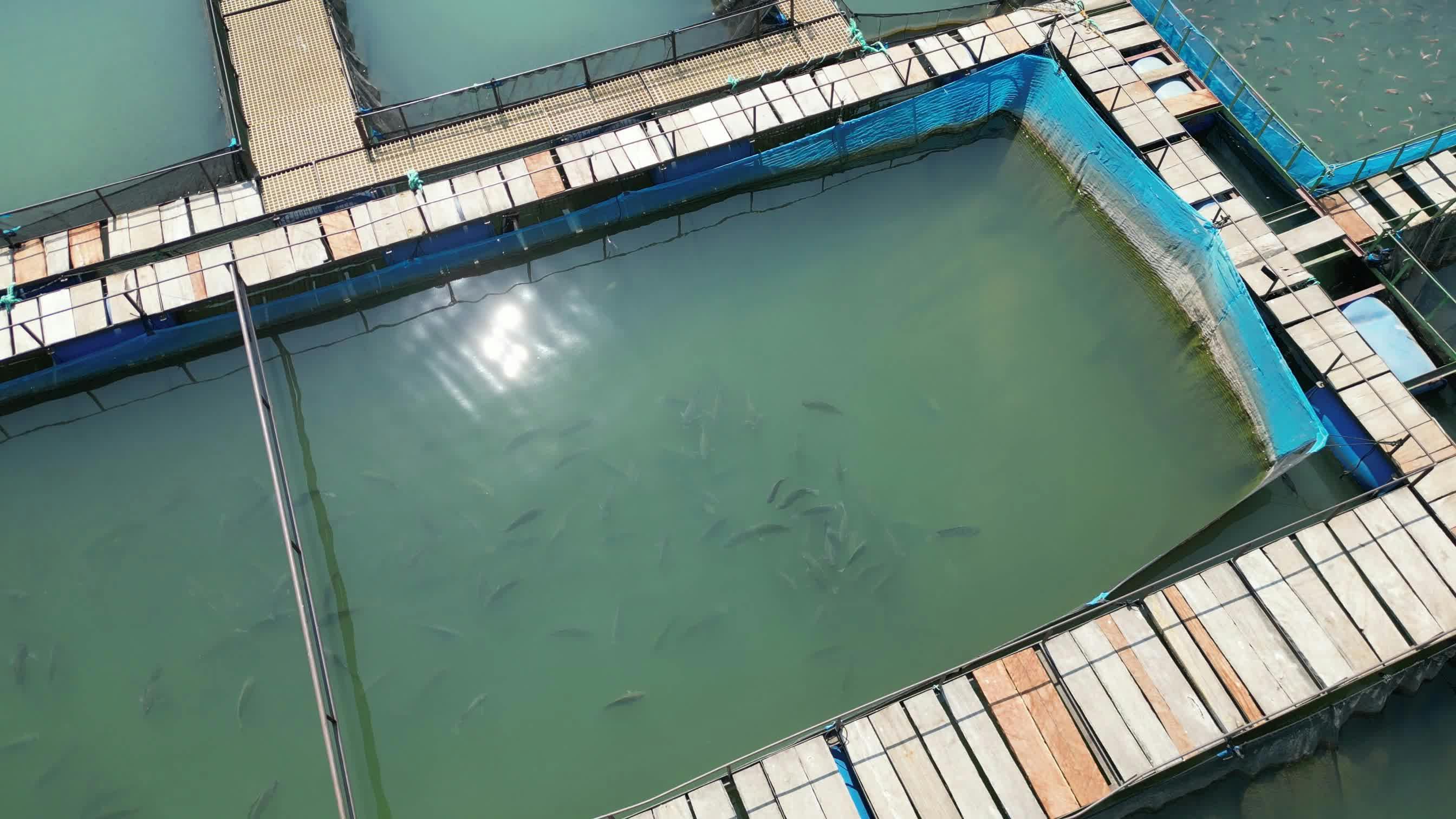 Aerial View of Fish Farming Ponds Free Stock Video Footage, Royalty ...