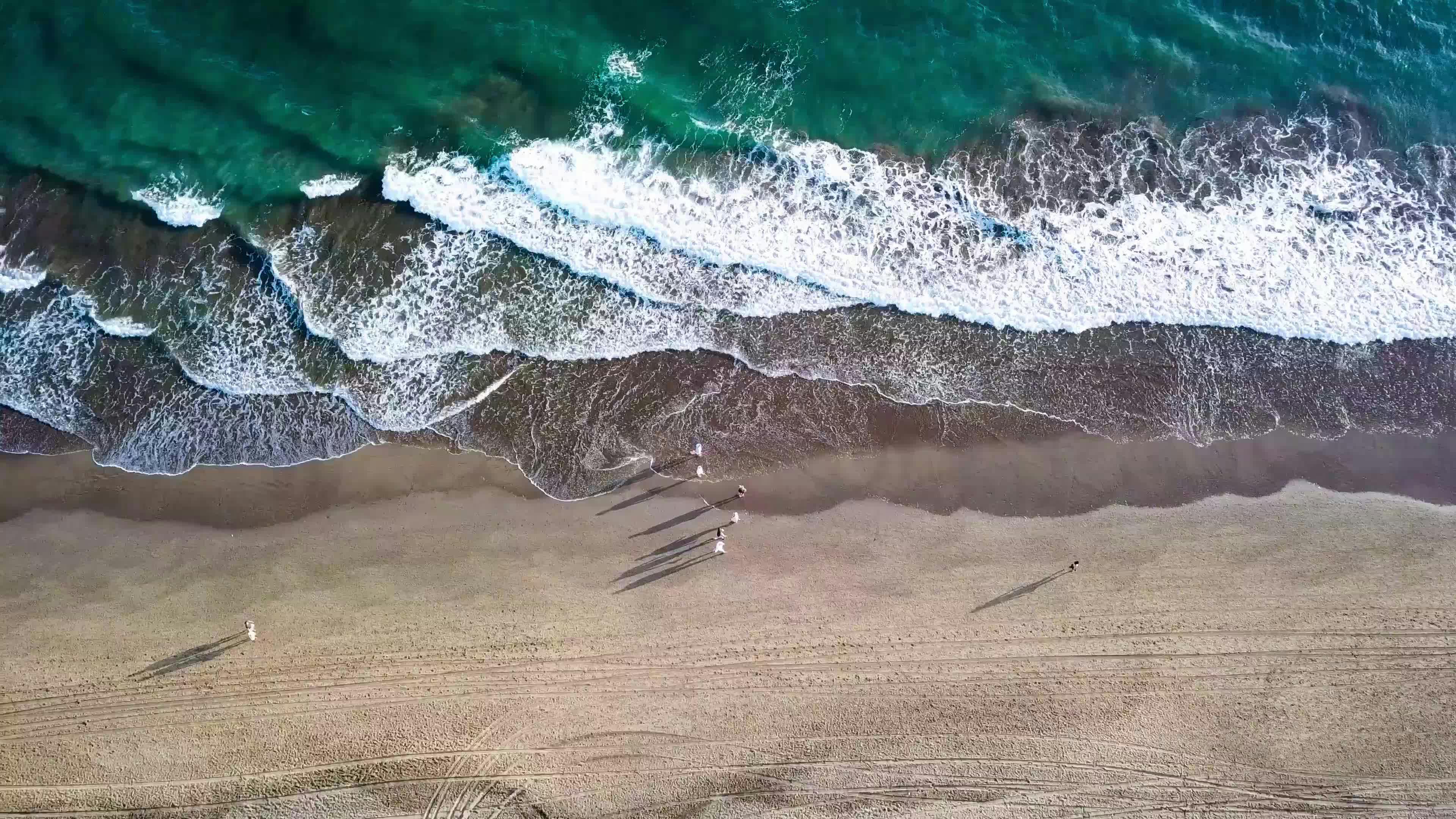 Aerial View of Ocean Waves on Beach Shoreline Free Stock Video Footage ...
