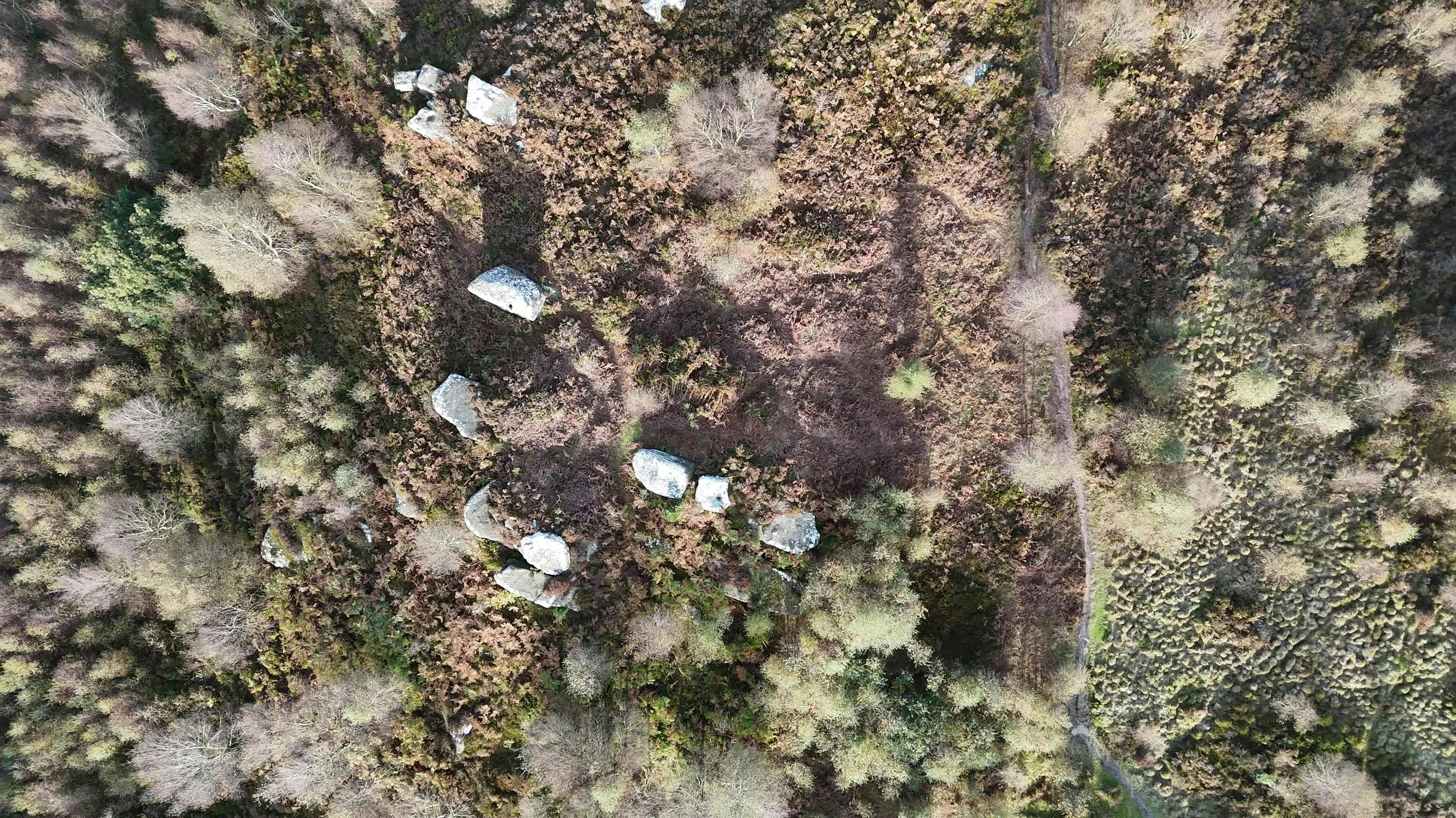 Zold Texture Videos, Download The BEST Free 4k Stock Video Footage ...