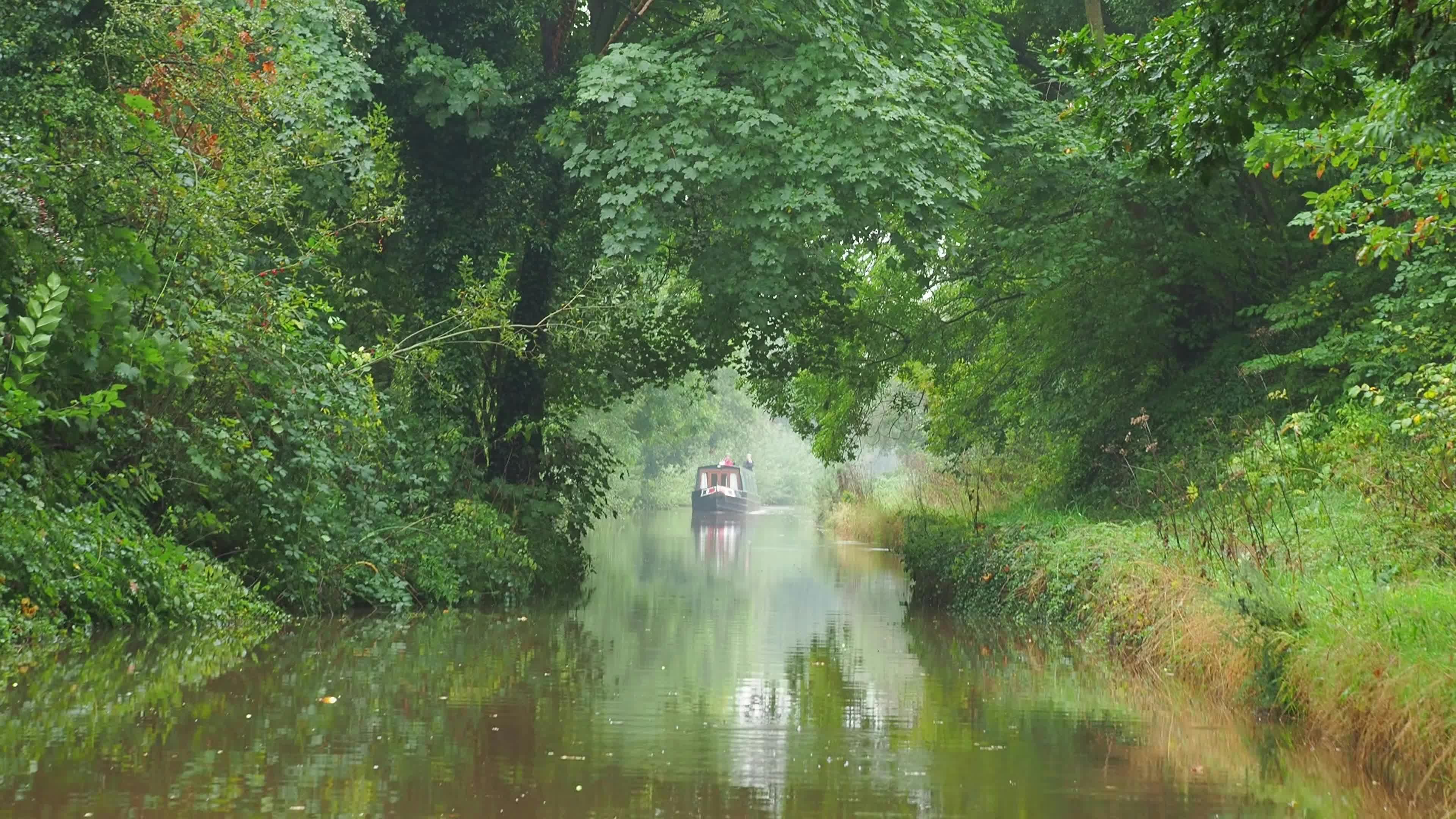 Serene Canal Journey Through Misty Greenery Free Stock Video Footage ...
