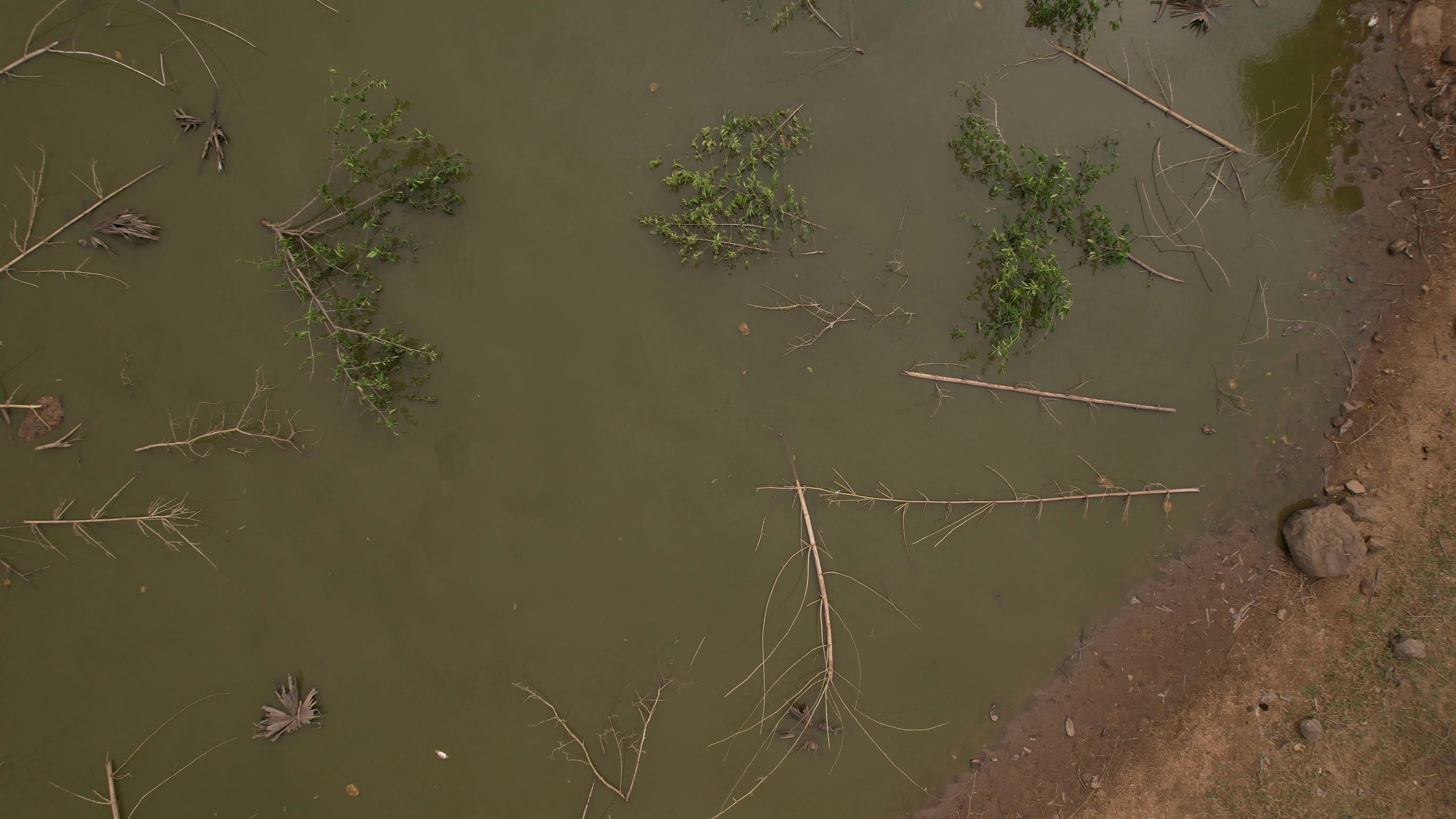 Traces Of Soil Videos, Download The BEST Free 4k Stock Video Footage & Traces Of Soil HD Video Clips