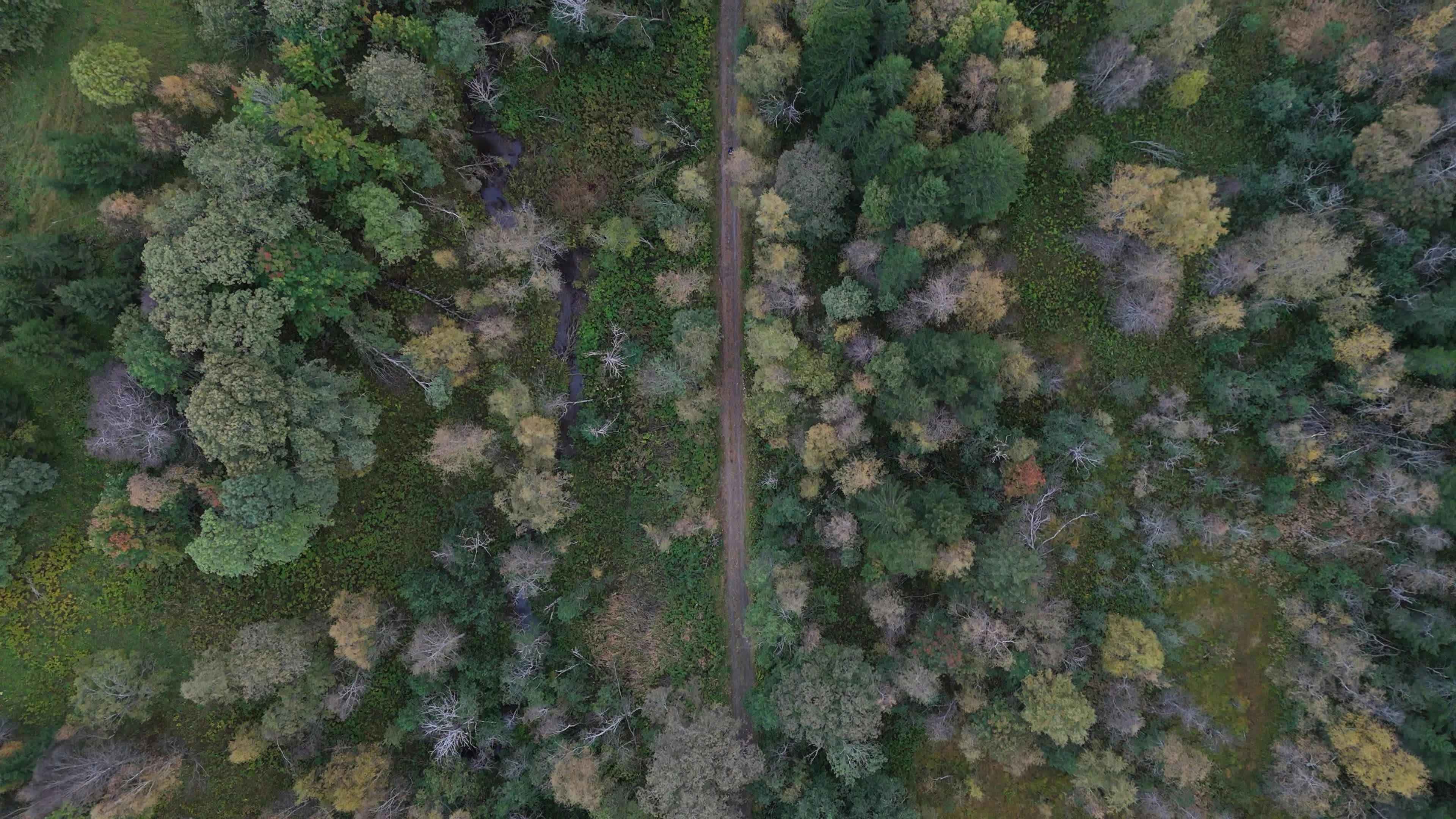 Alexander Jensen - Photography