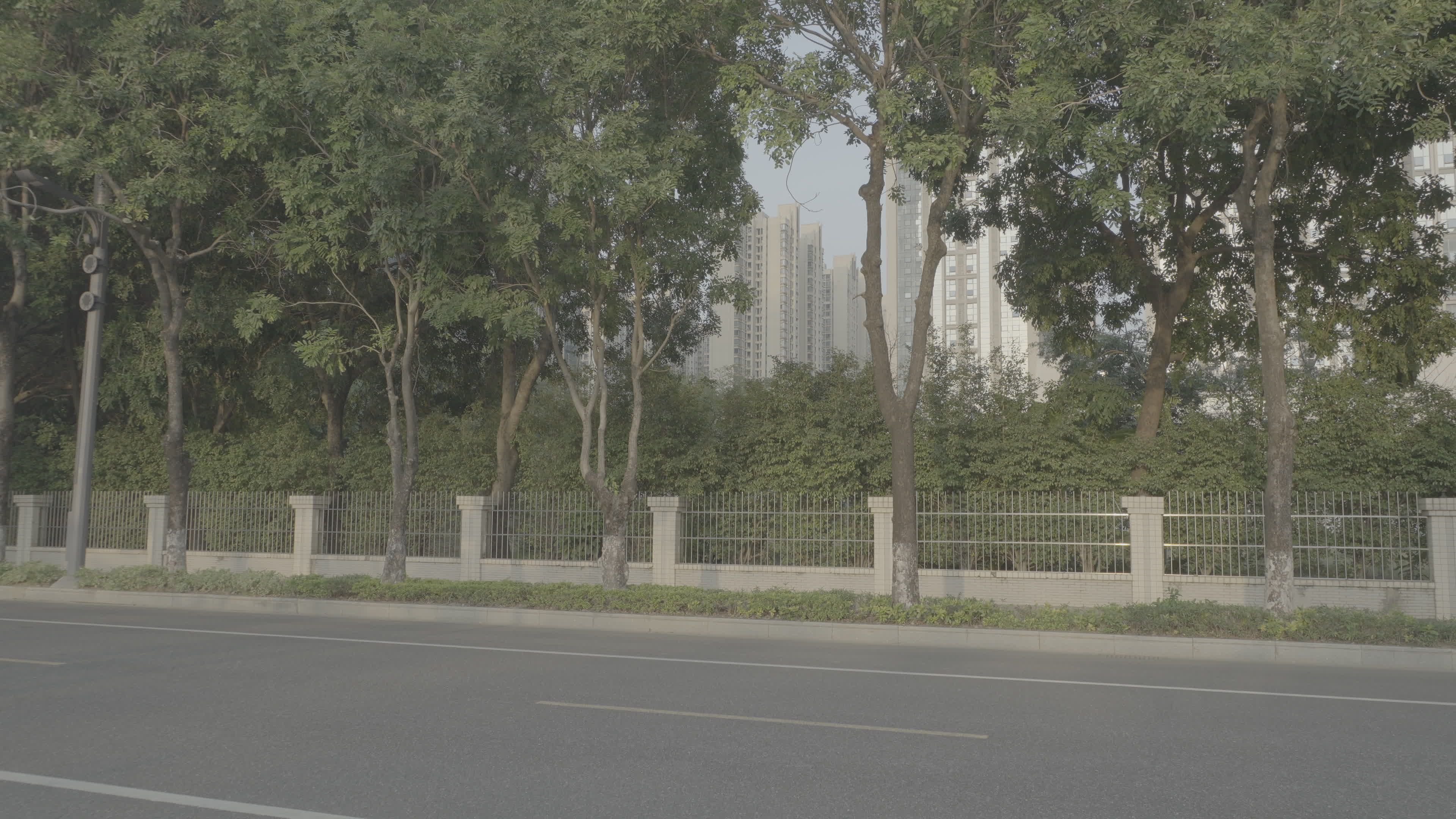 City Street with Walking People and Urban Trees Free Stock Video ...