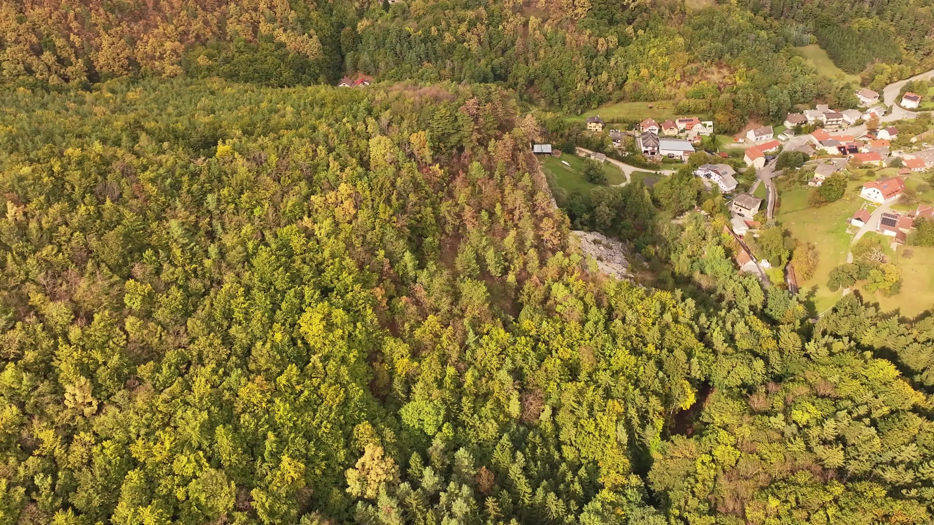 Vista Aérea Del Bosque Verde Y El Pueblo · Vídeo de stock gratuito