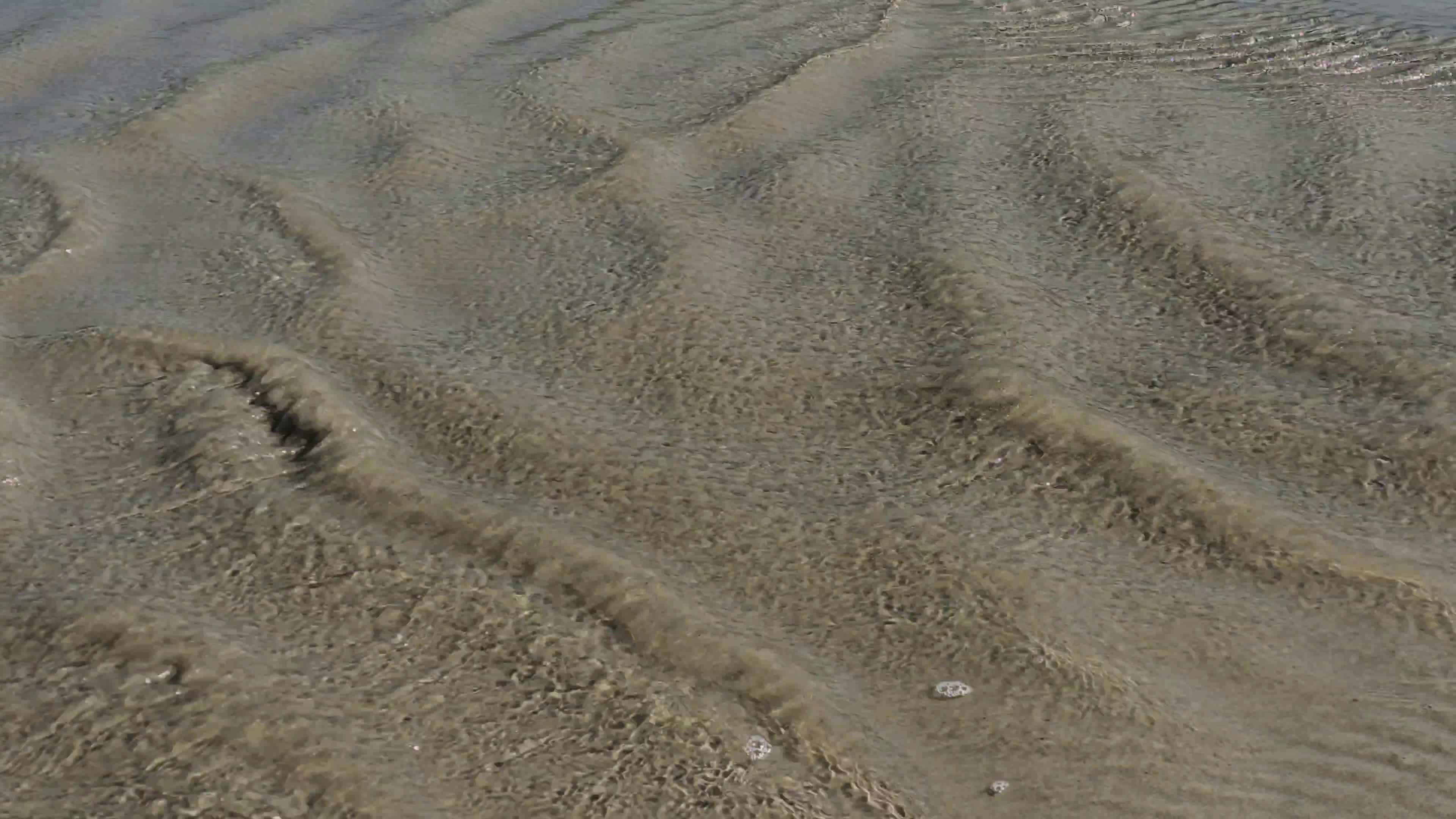 Prush Texture Videos, Download The BEST Free 4k Stock Video Footage ...