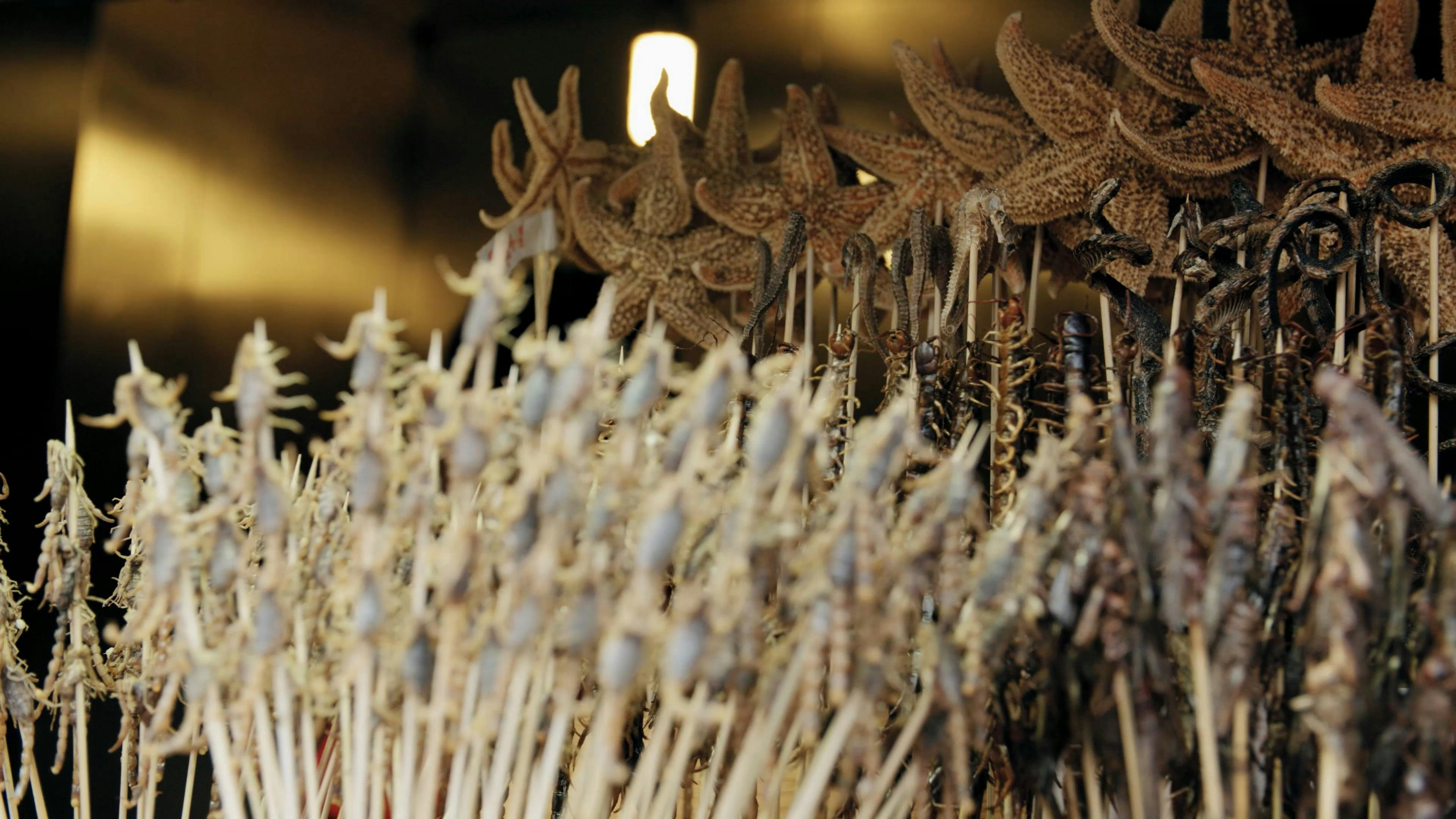 Food Street Videos, Download The BEST Free 4k Stock Video Footage ...