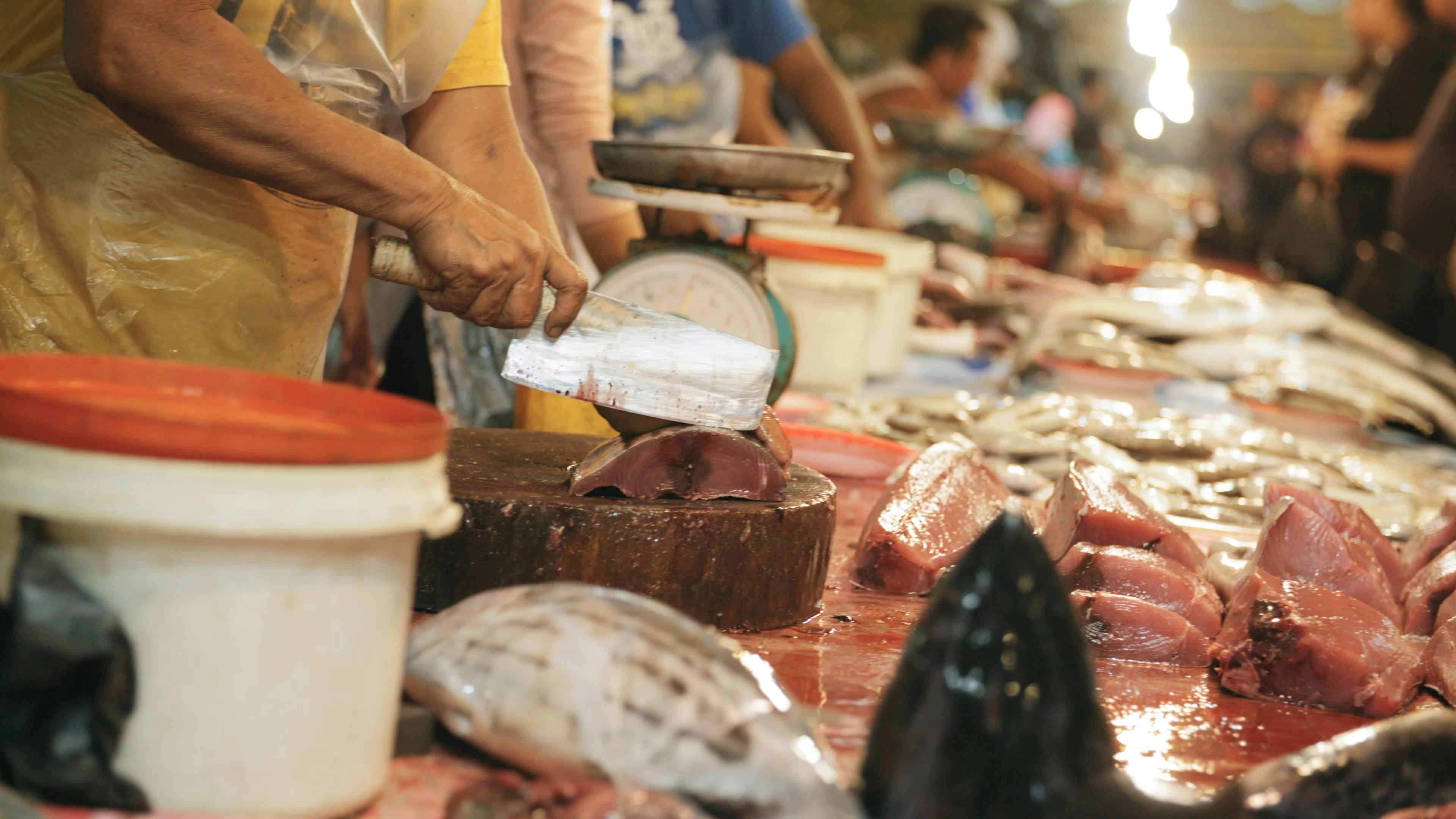 Fish Market Videos, Download The BEST Free 4k Stock Video Footage ...