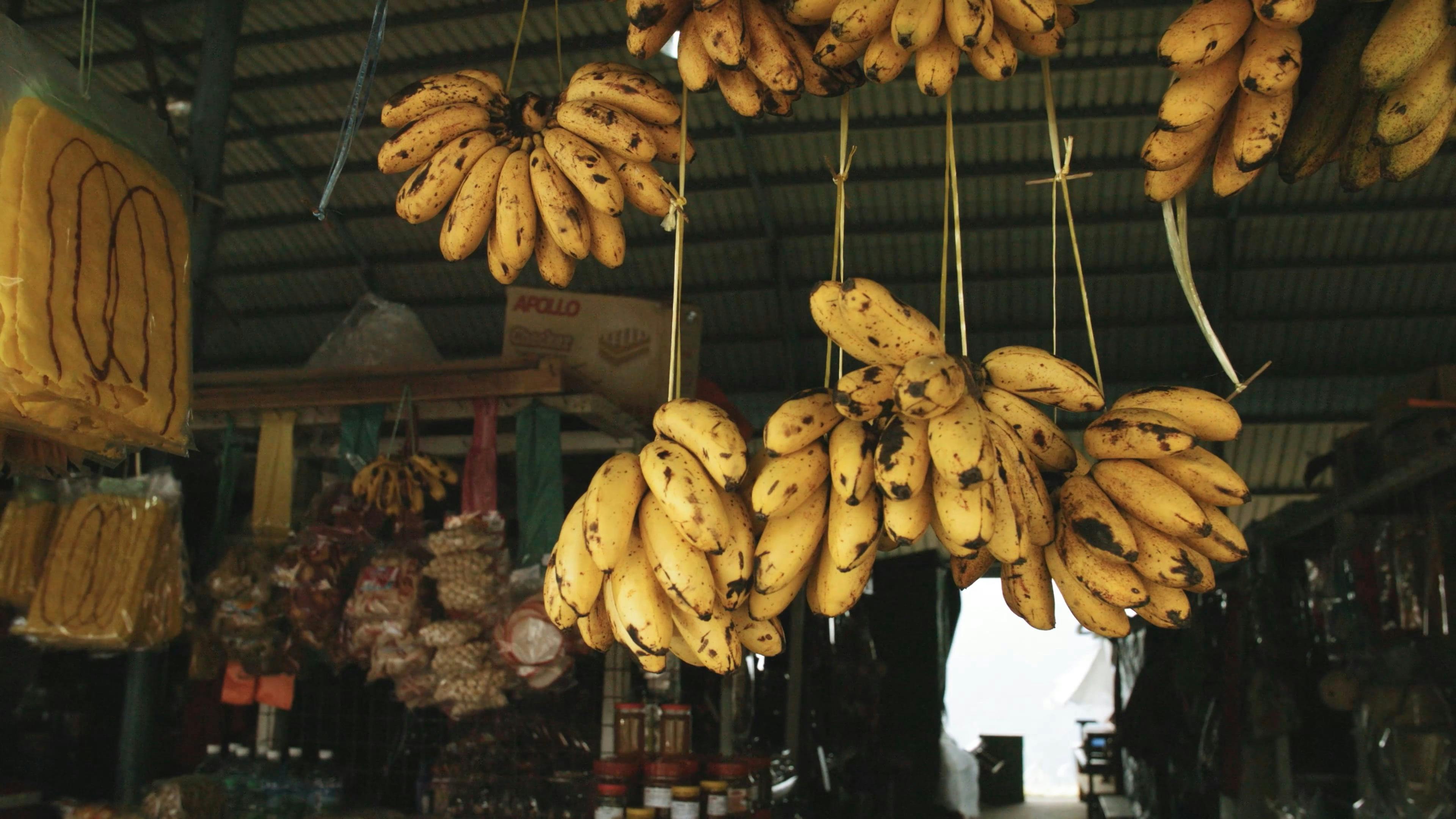 Bananas Hanging · Free Stock Video