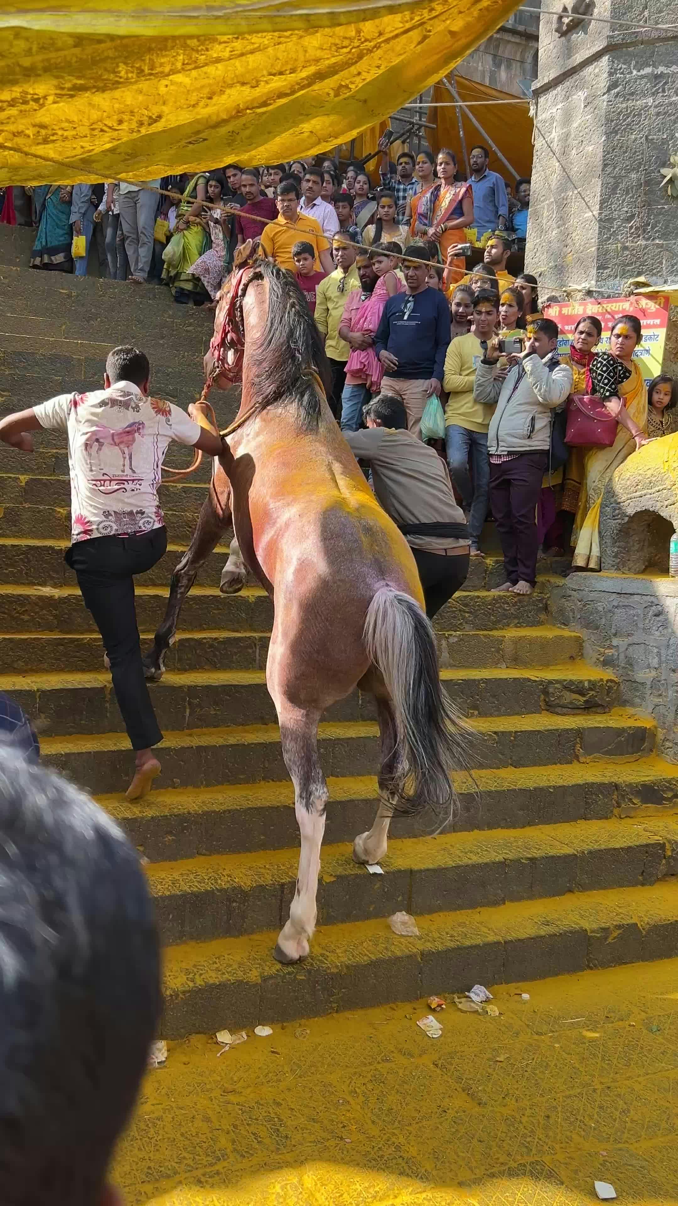 The Explorer - Fotografi